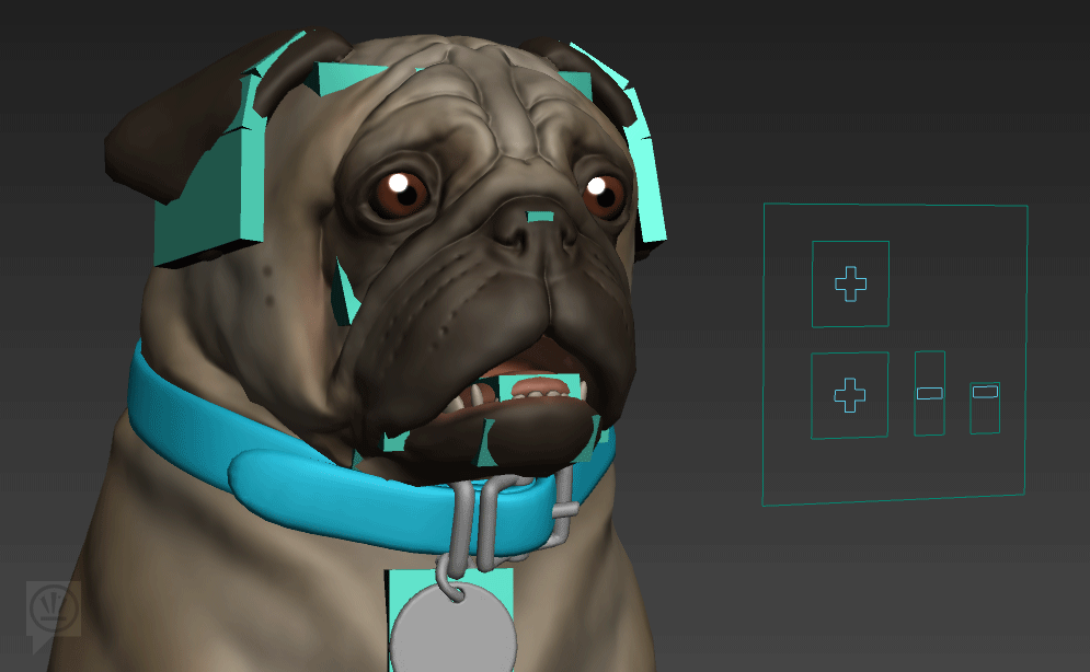 Tom Elgon - Pug