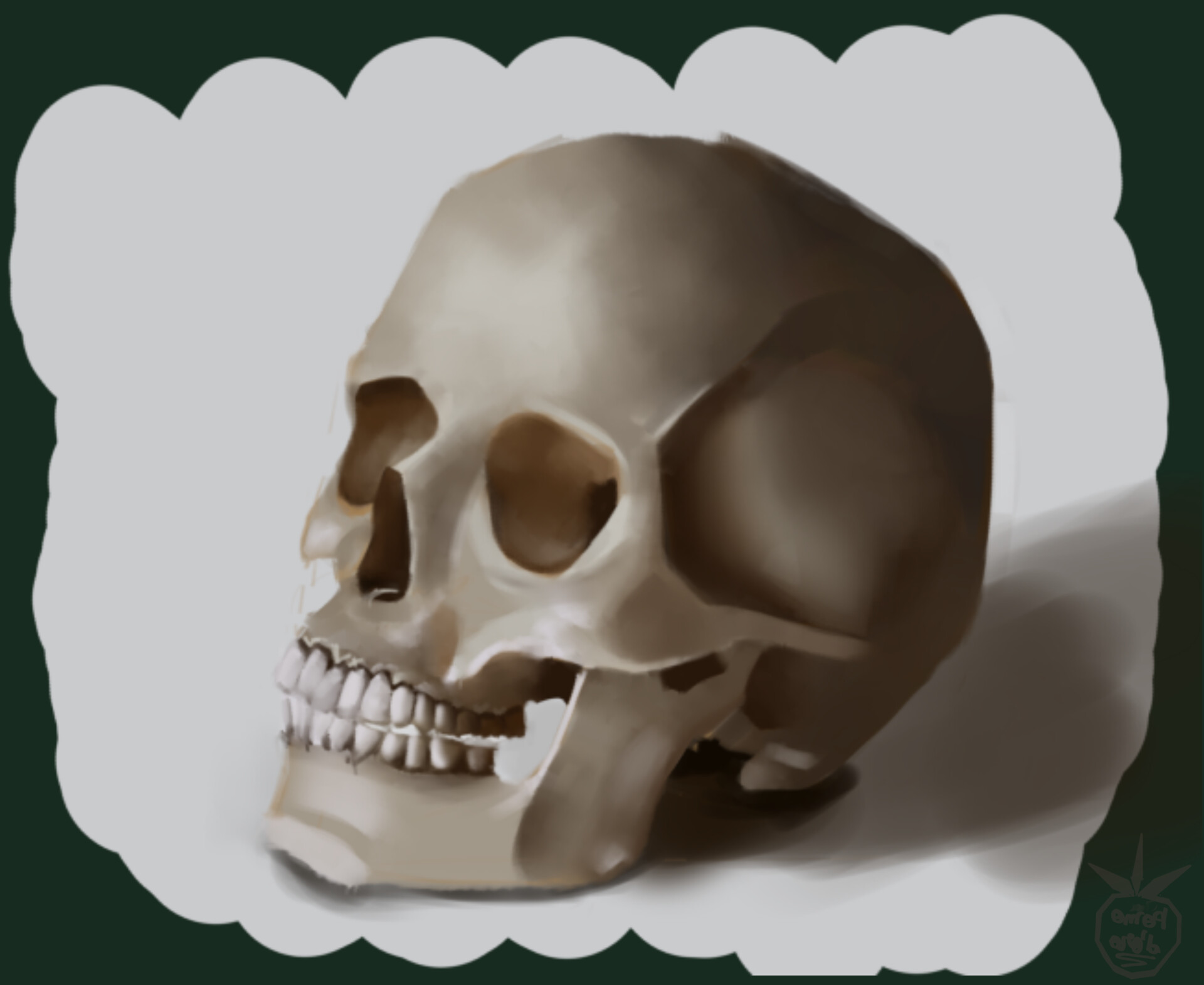 ArtStation - Skull Study