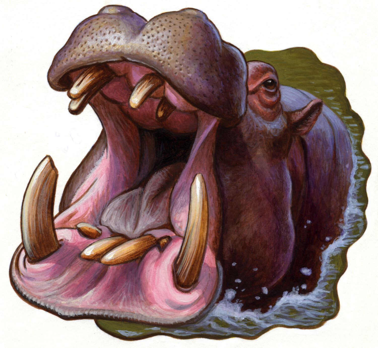 ArtStation - Animals