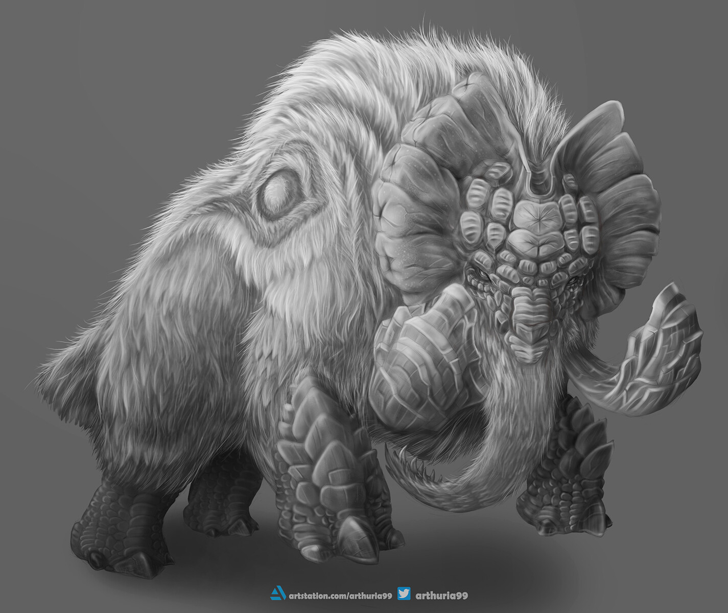 Anthony R - Steady Mountain - Gammoth ガムート