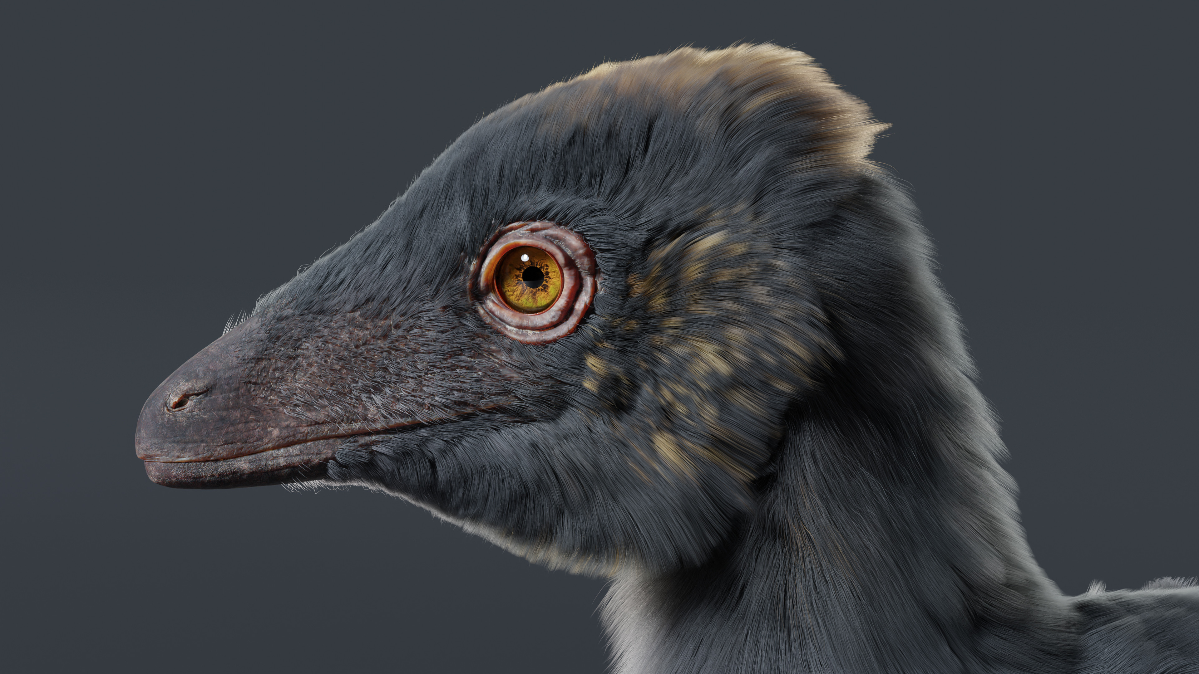 Joanna Kobierska - Anchiornis huxleyi