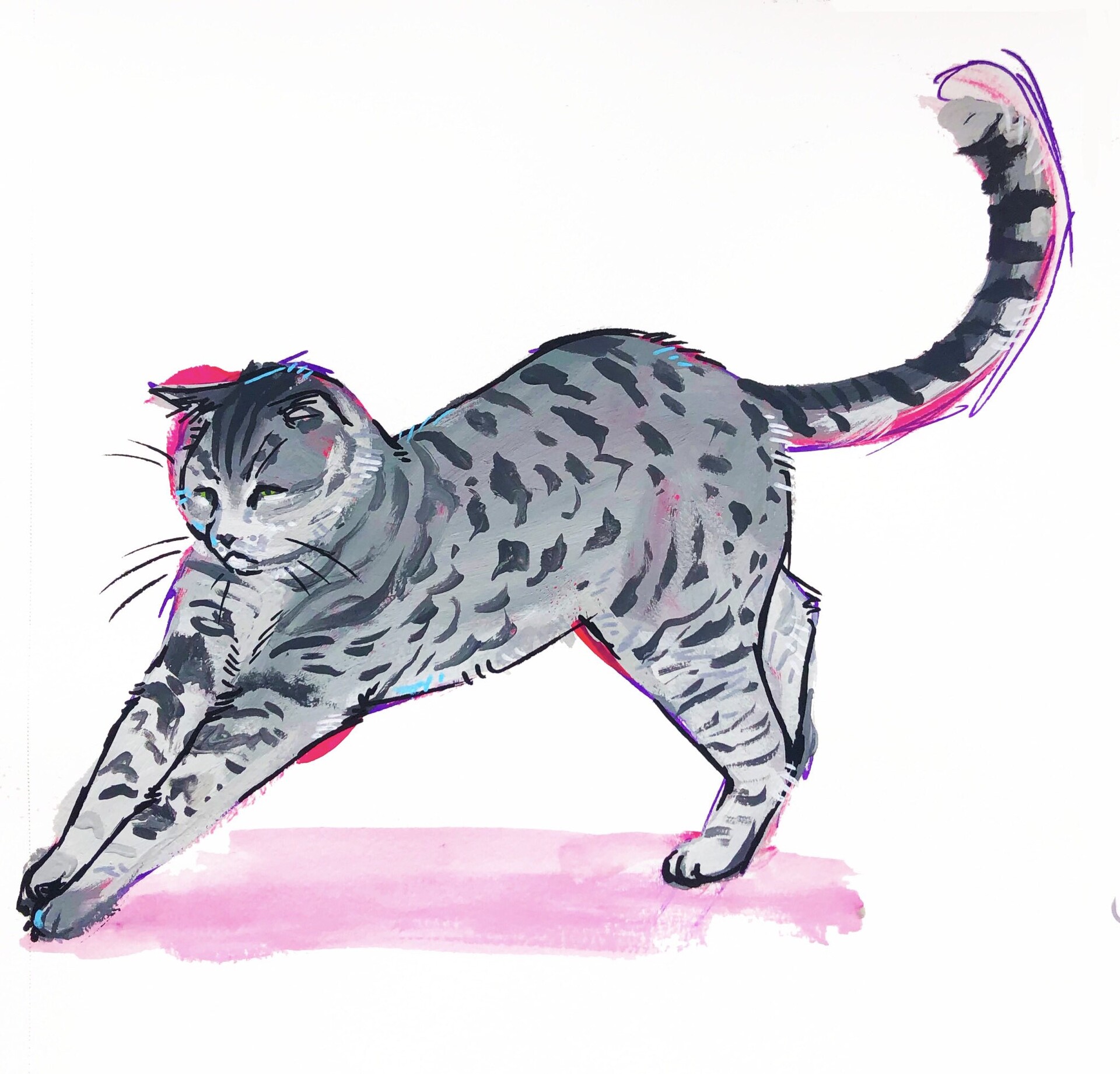ArtStation - cat stretching