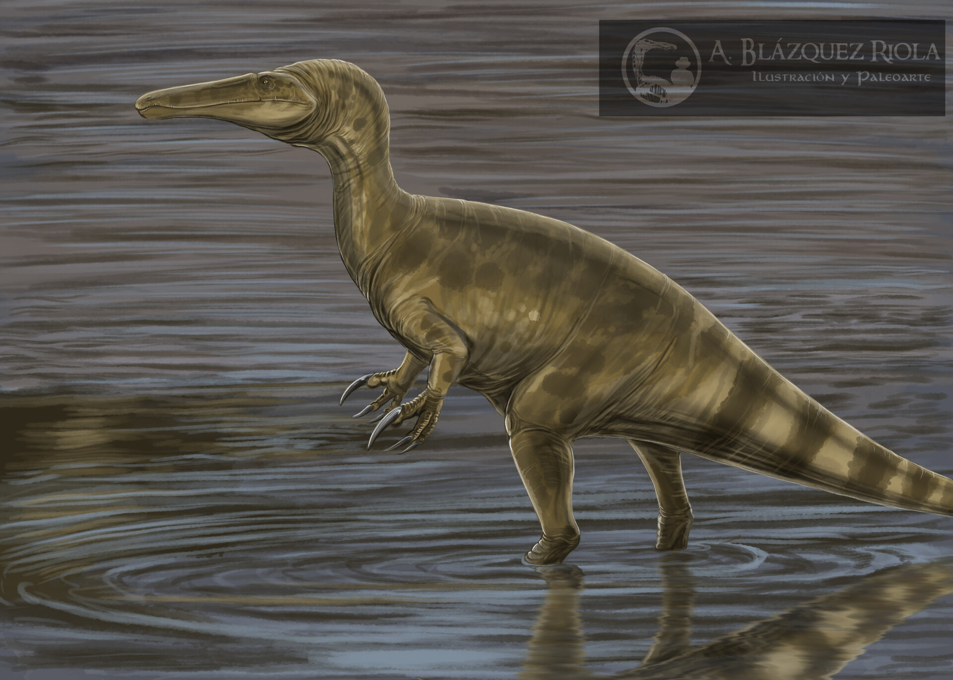 ArtStation - Suchomimus tenerensis - A. Blázquez 2021