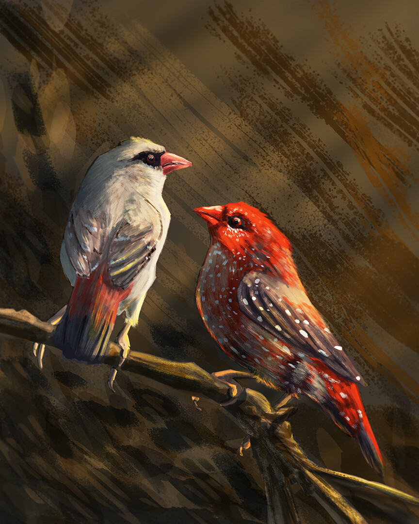 ArtStation - Strawberry Finches