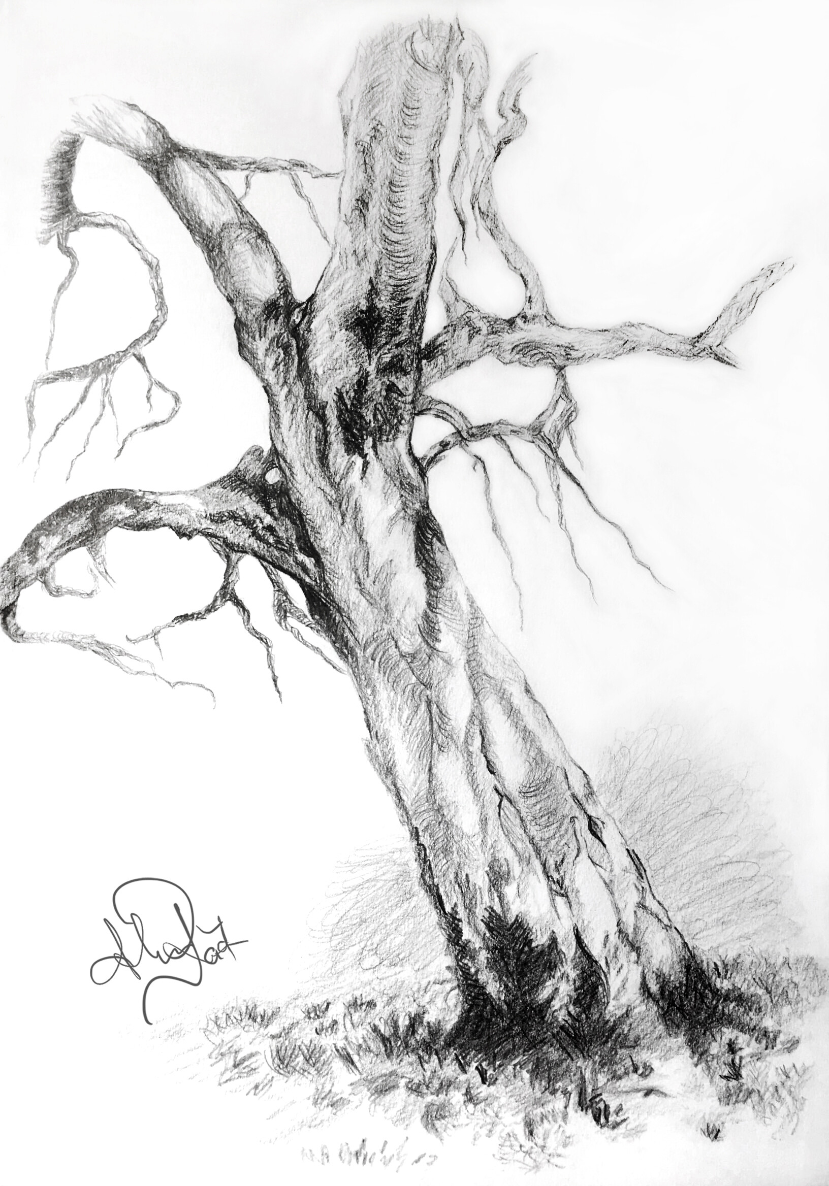 ArtStation - Still Life