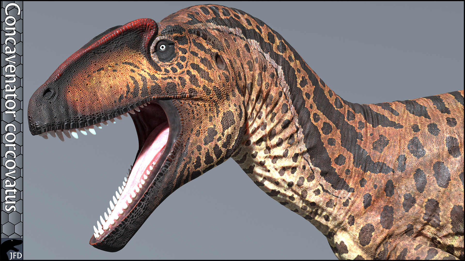 Concavenator Skeleton