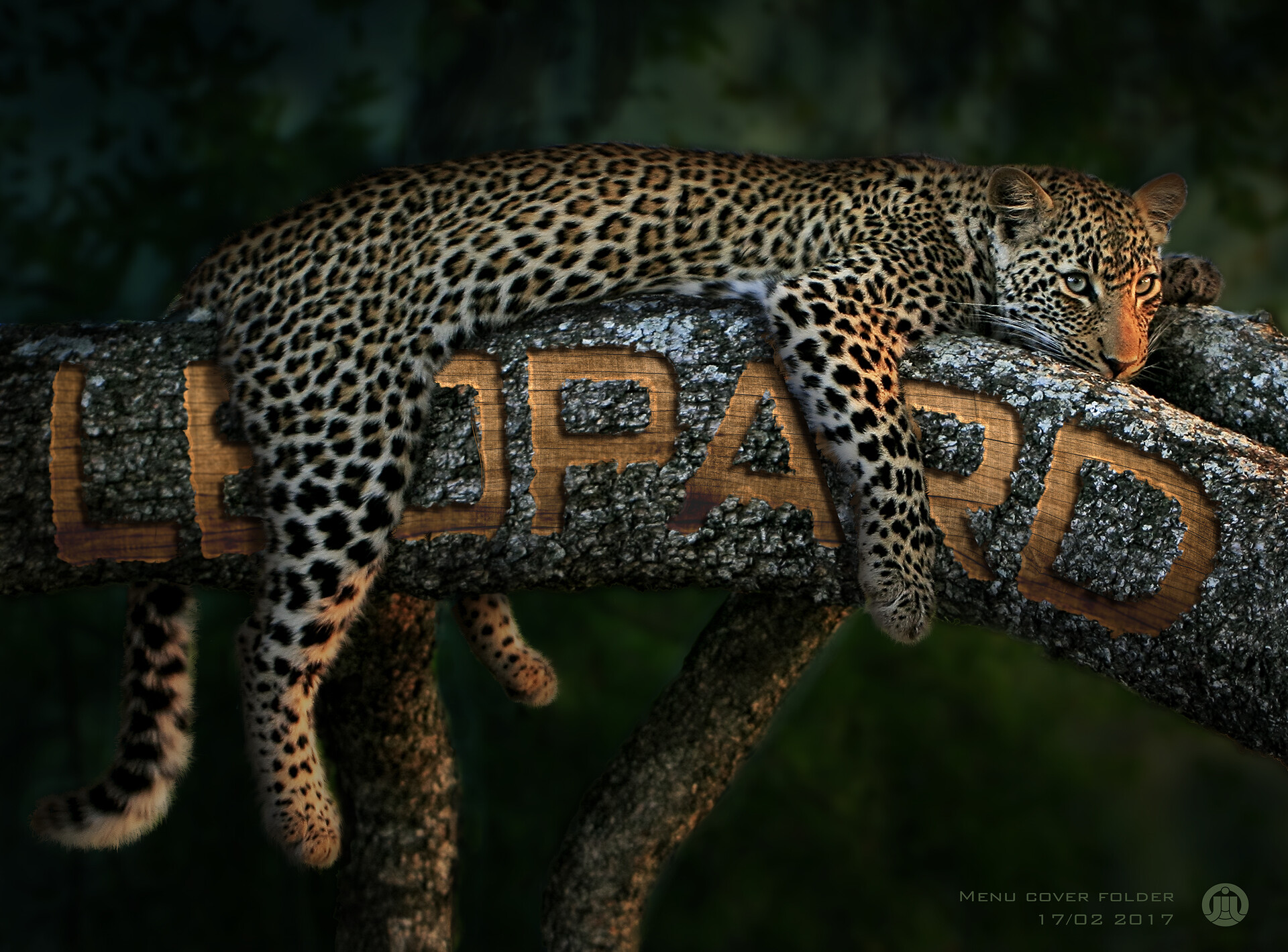 ArtStation - Leopard Cover