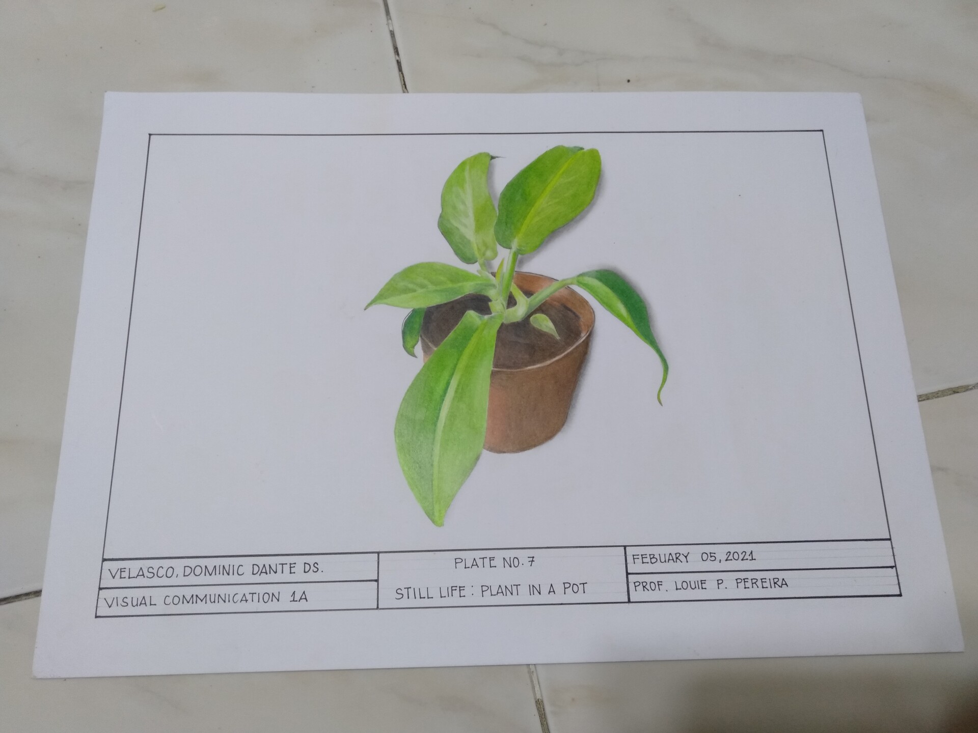 ArtStation - STILL LIFE: PLANT IN A POT