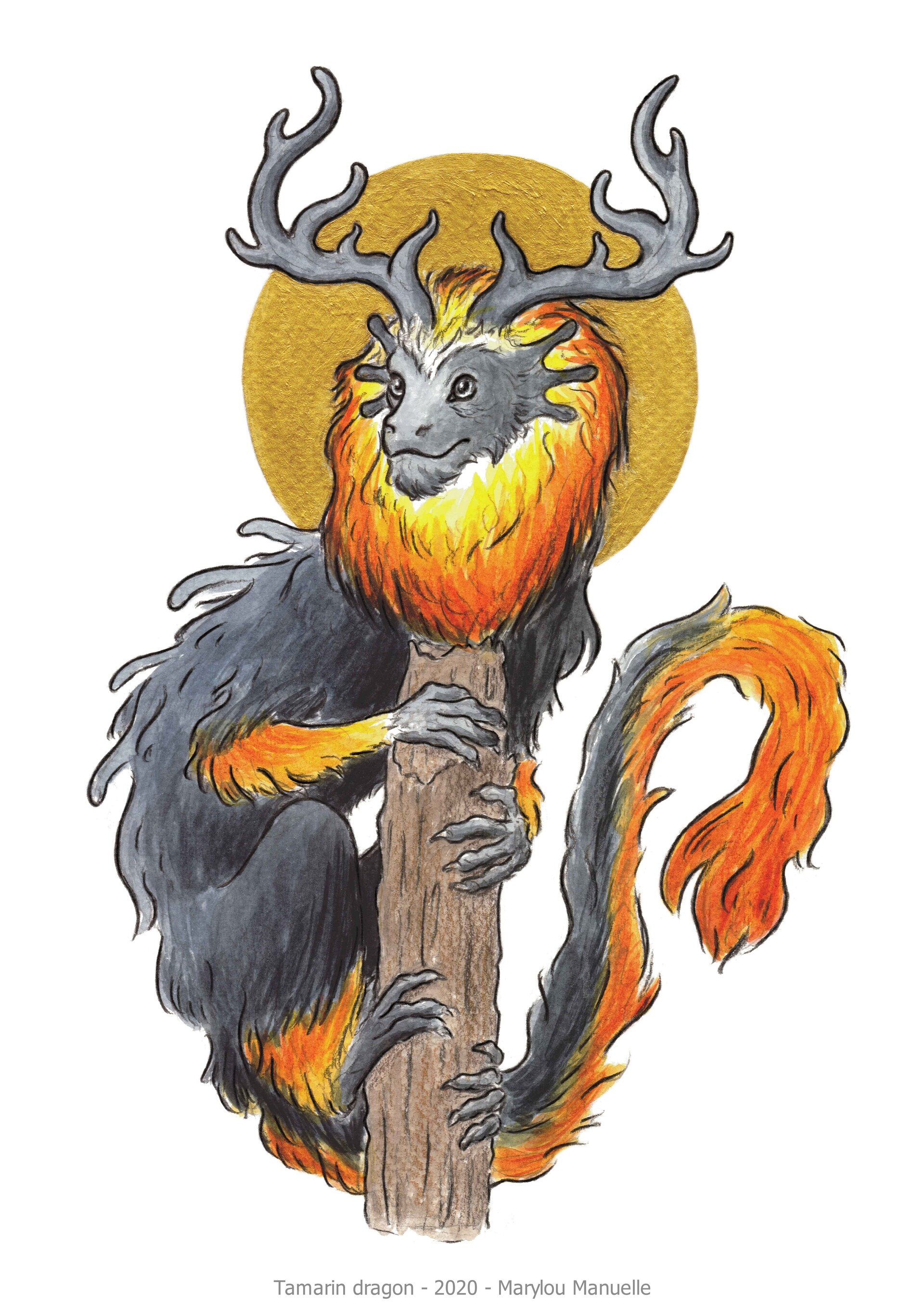 ArtStation - Tamarin dragons