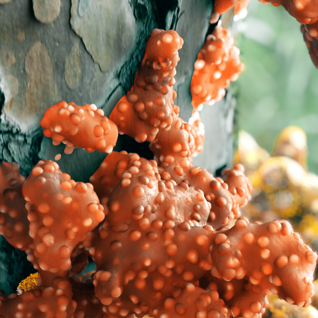 emilio kheir - mushroom wizard