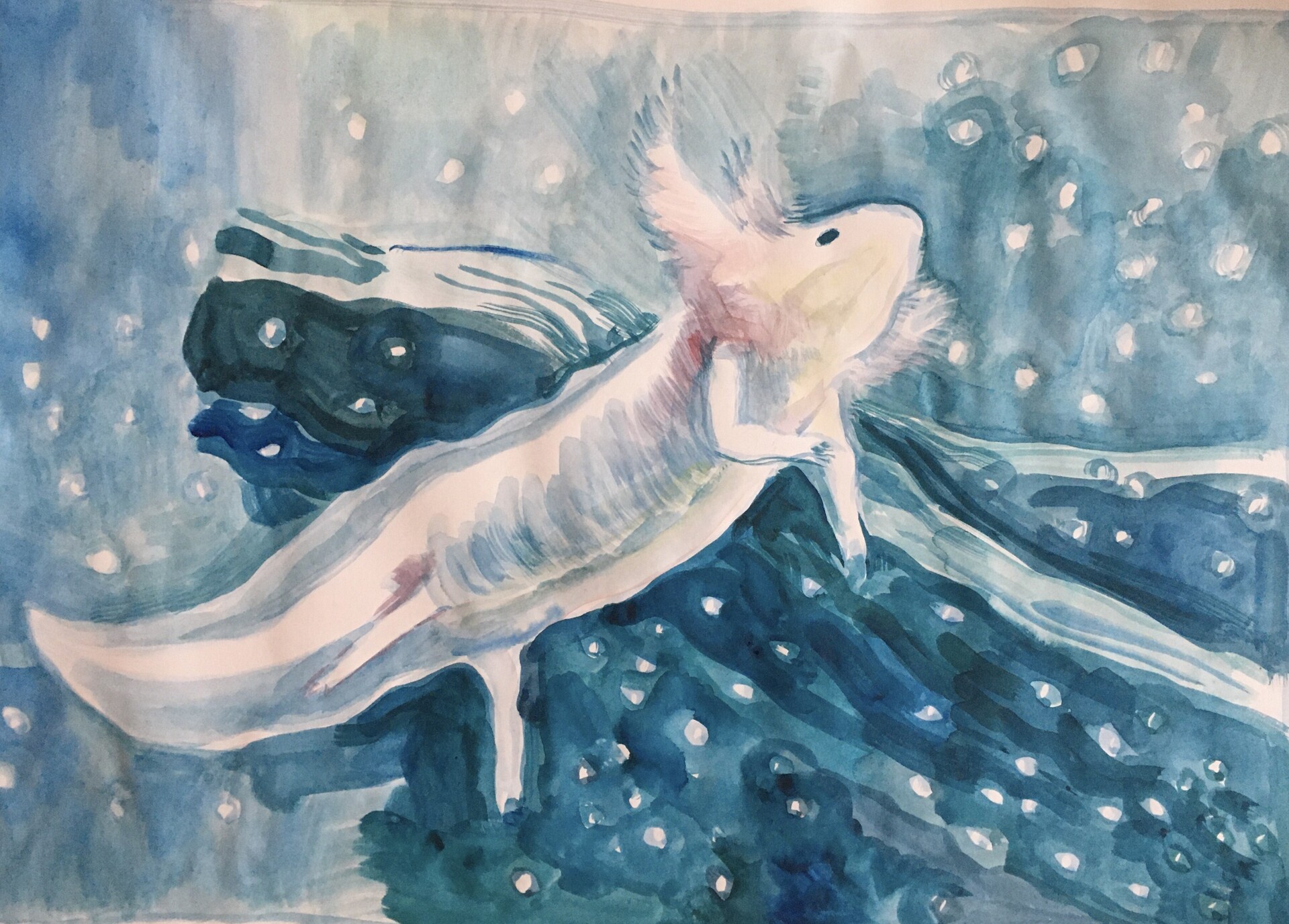 ArtStation - Axolotl