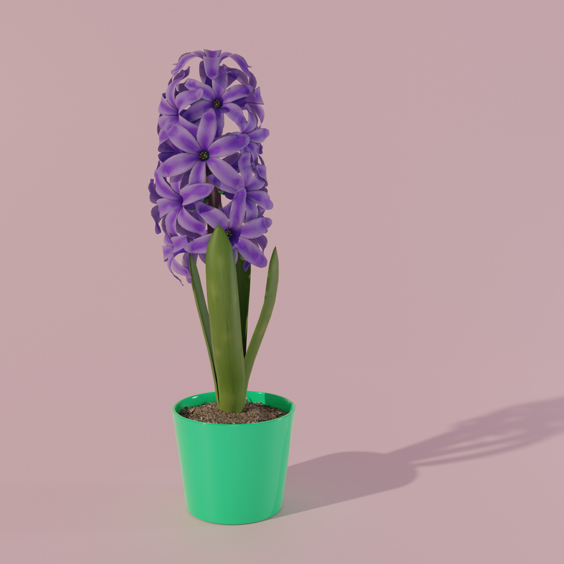 ArtStation - Hyacinth