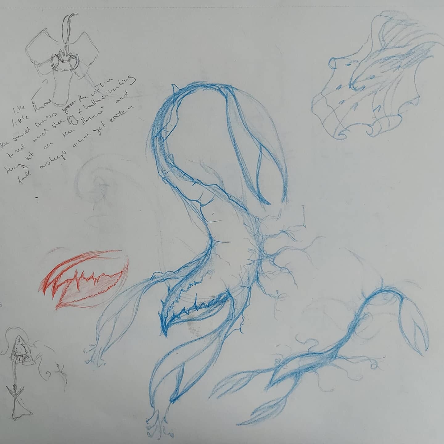 Ildy Izso - Nepenthaceae Sarcophagia