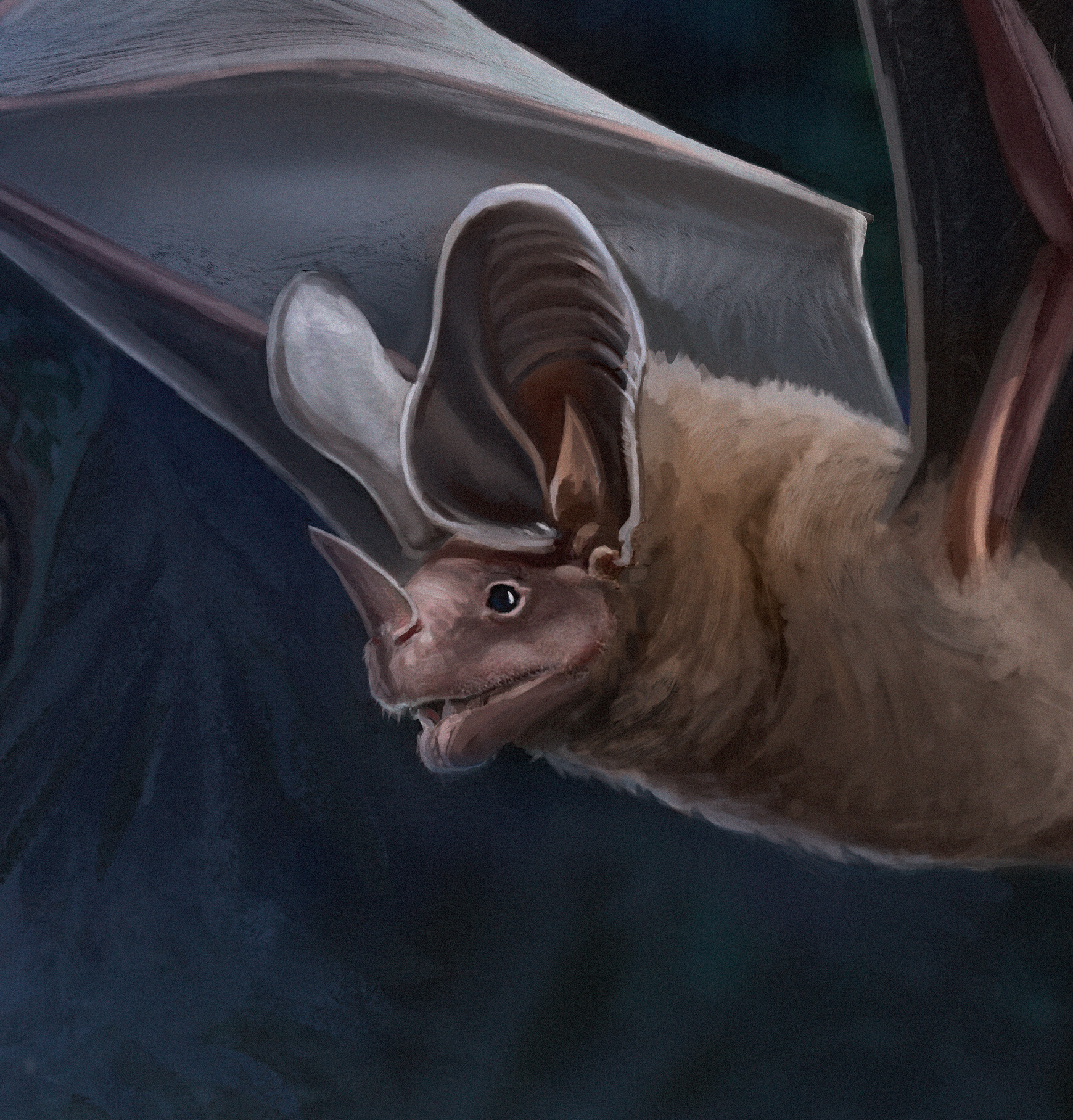 ArtStation - White-throated Round-eared Bat