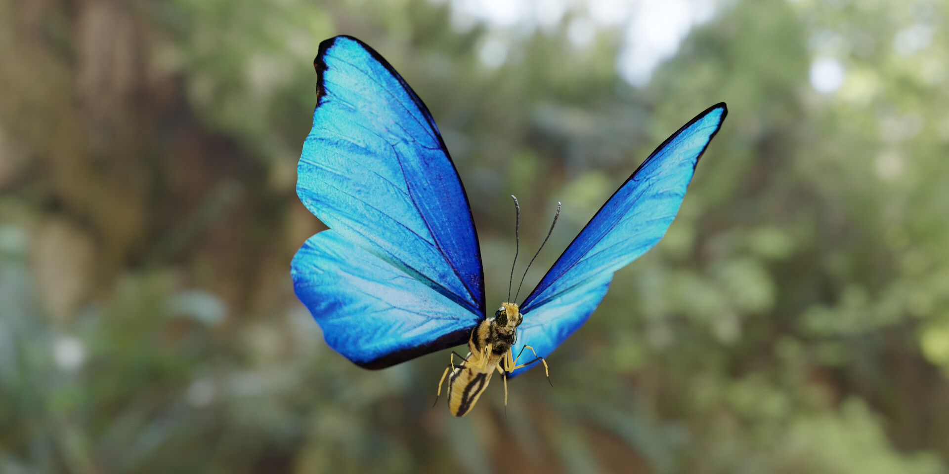 ArtStation - Butterfly 3D Model - Morpho