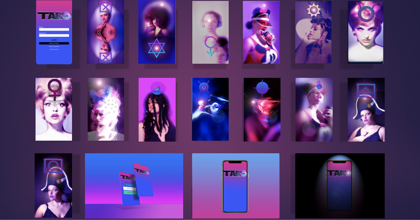 Roos Van Der Jagt - LOGO TARO and UI design