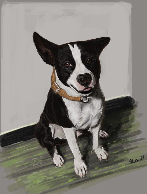 ArtStation - pitbull