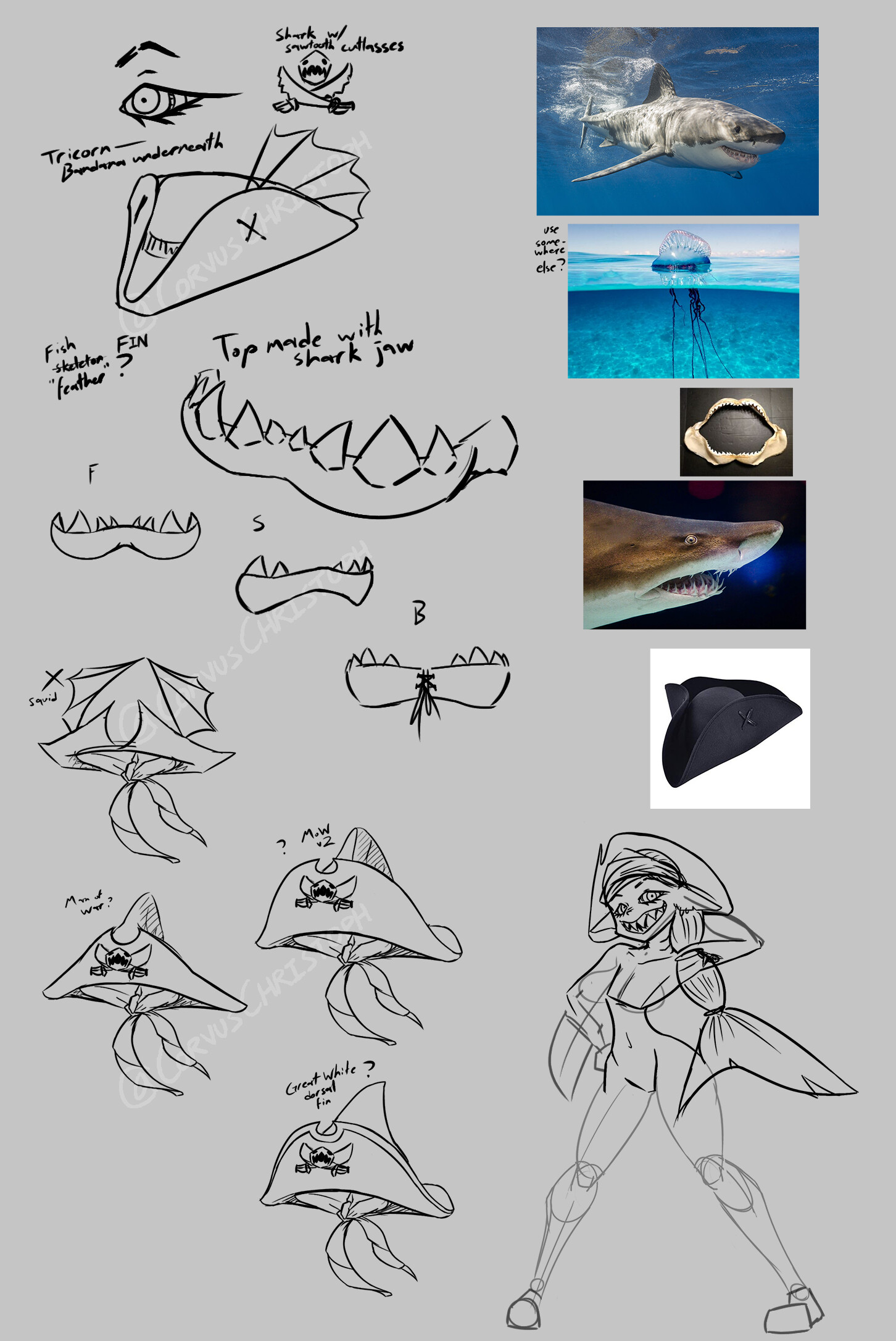 Christopher Davis - Captain Barra Rosetta Indigo - Quick Concepts