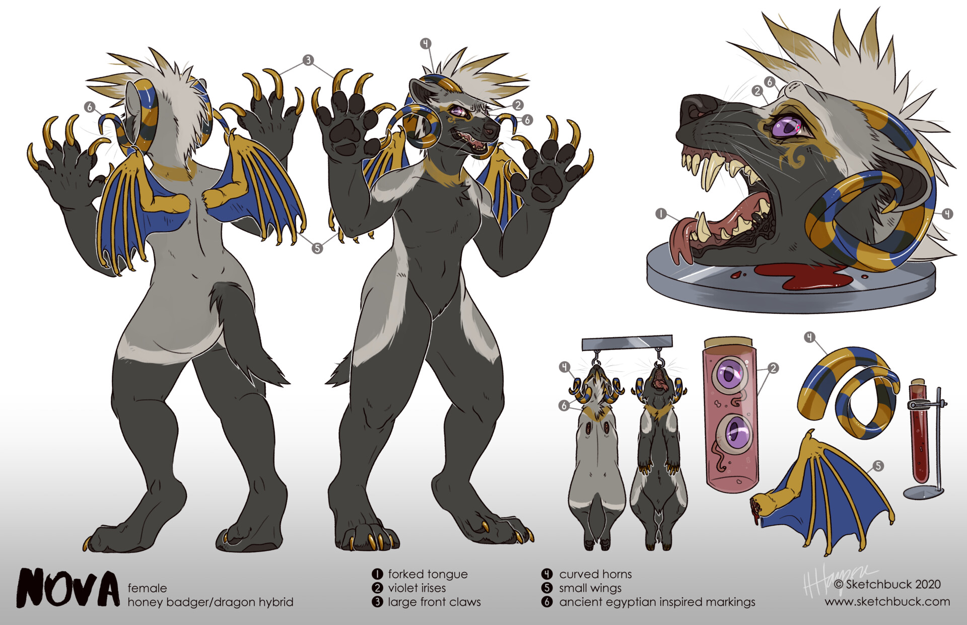 ArtStation - Nova Reference