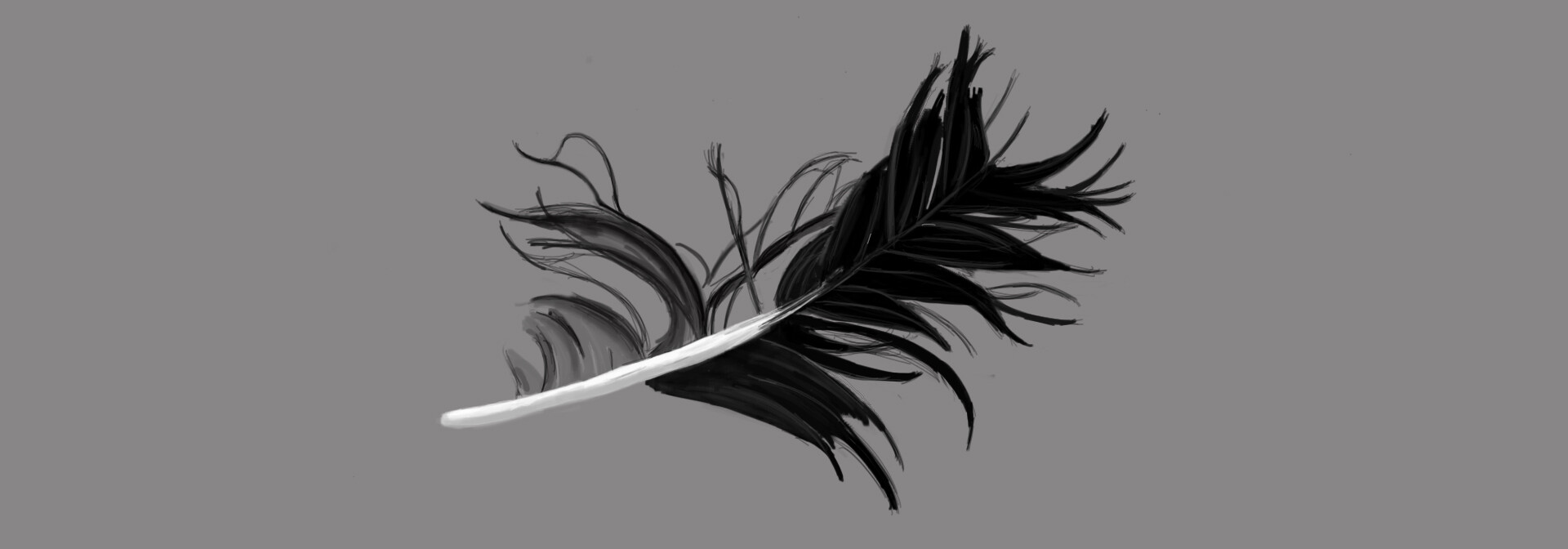 ArtStation - Black feather