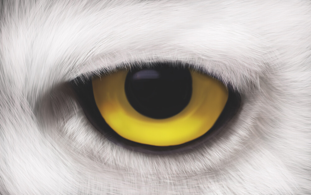 ArtStation - Animal Eye