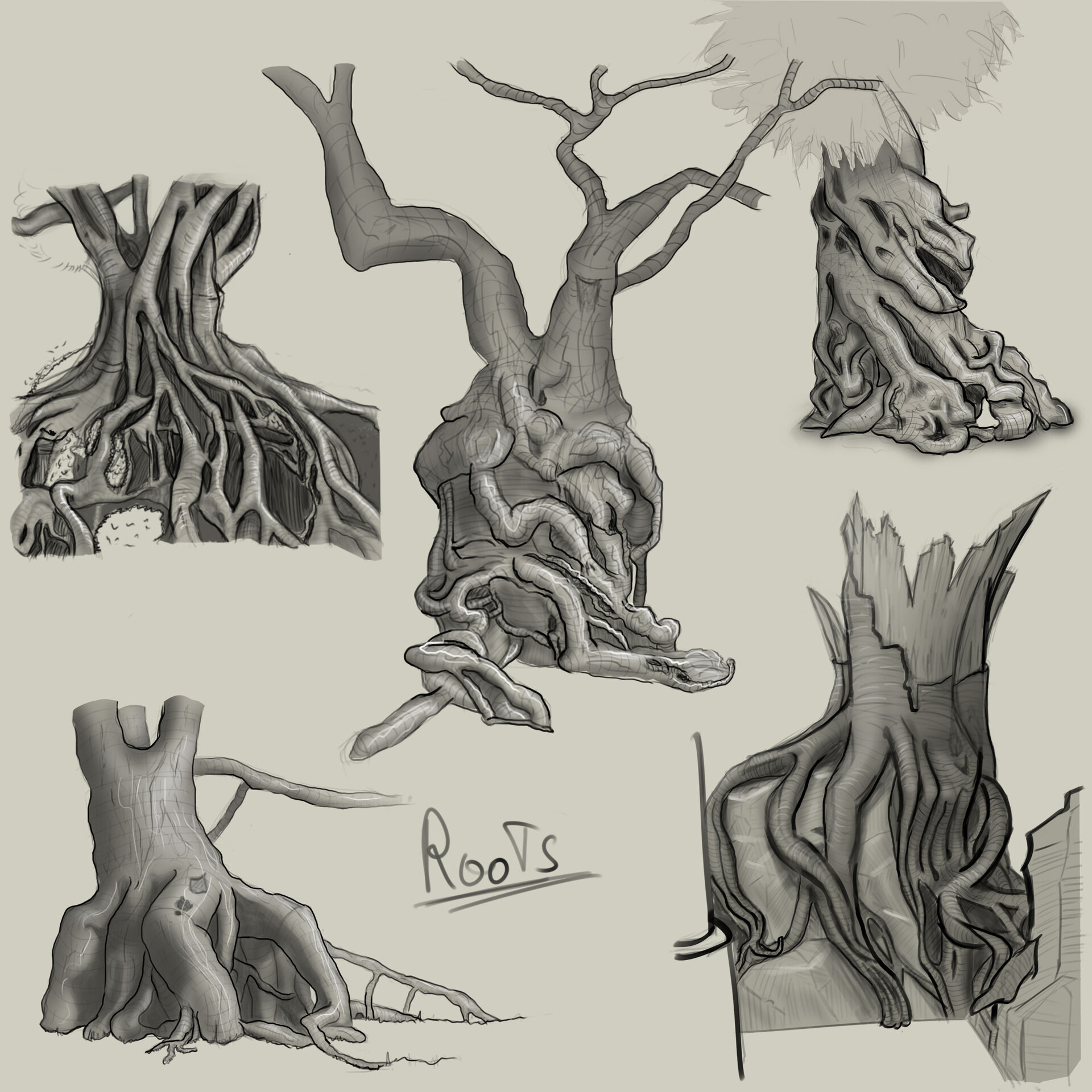 ArtStation - Roots studies
