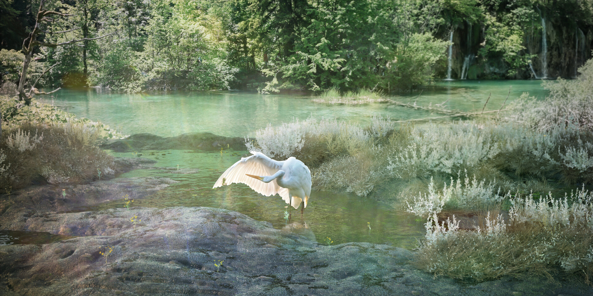 PP Wang - 莫扫香尘路