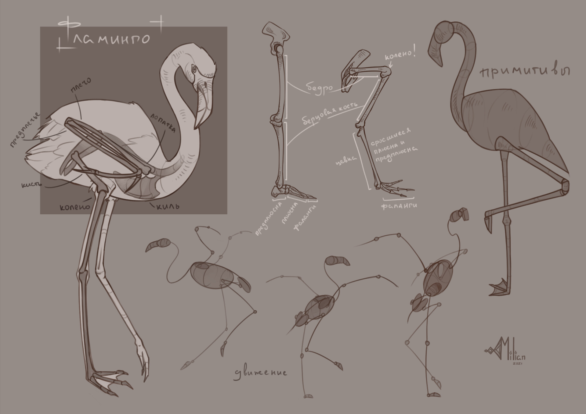 ArtStation - Sketch of a Flamingos
