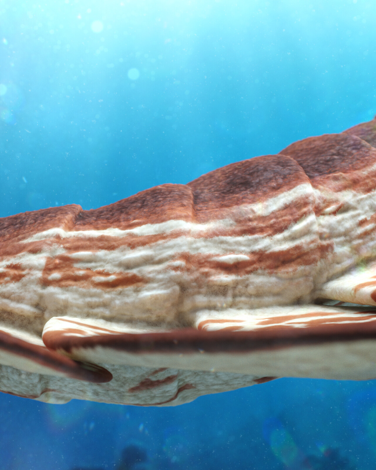 Margaritis Gitopoulos - Anomalocaris