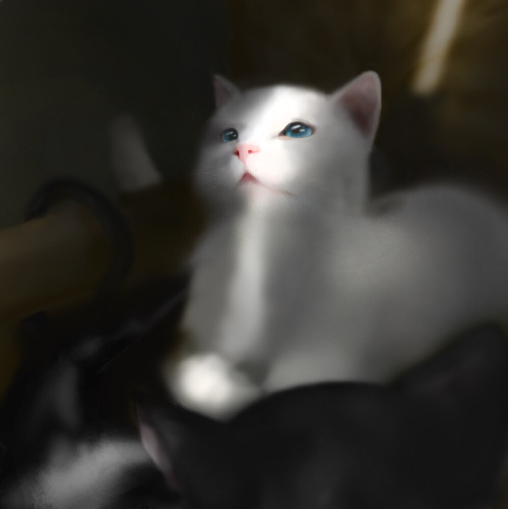 ArtStation - Thinking cat