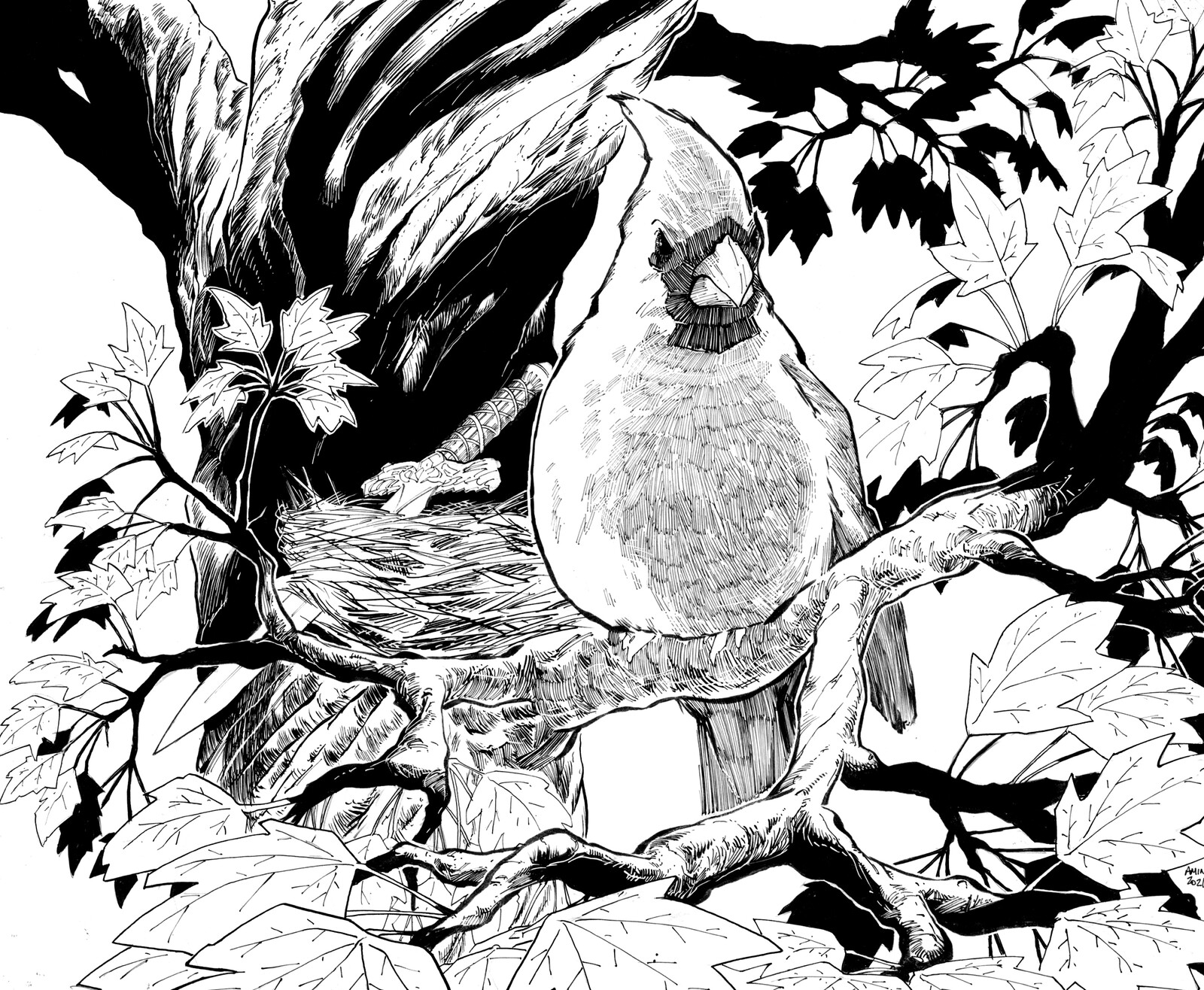 Amin Amat - Bird with Dagger