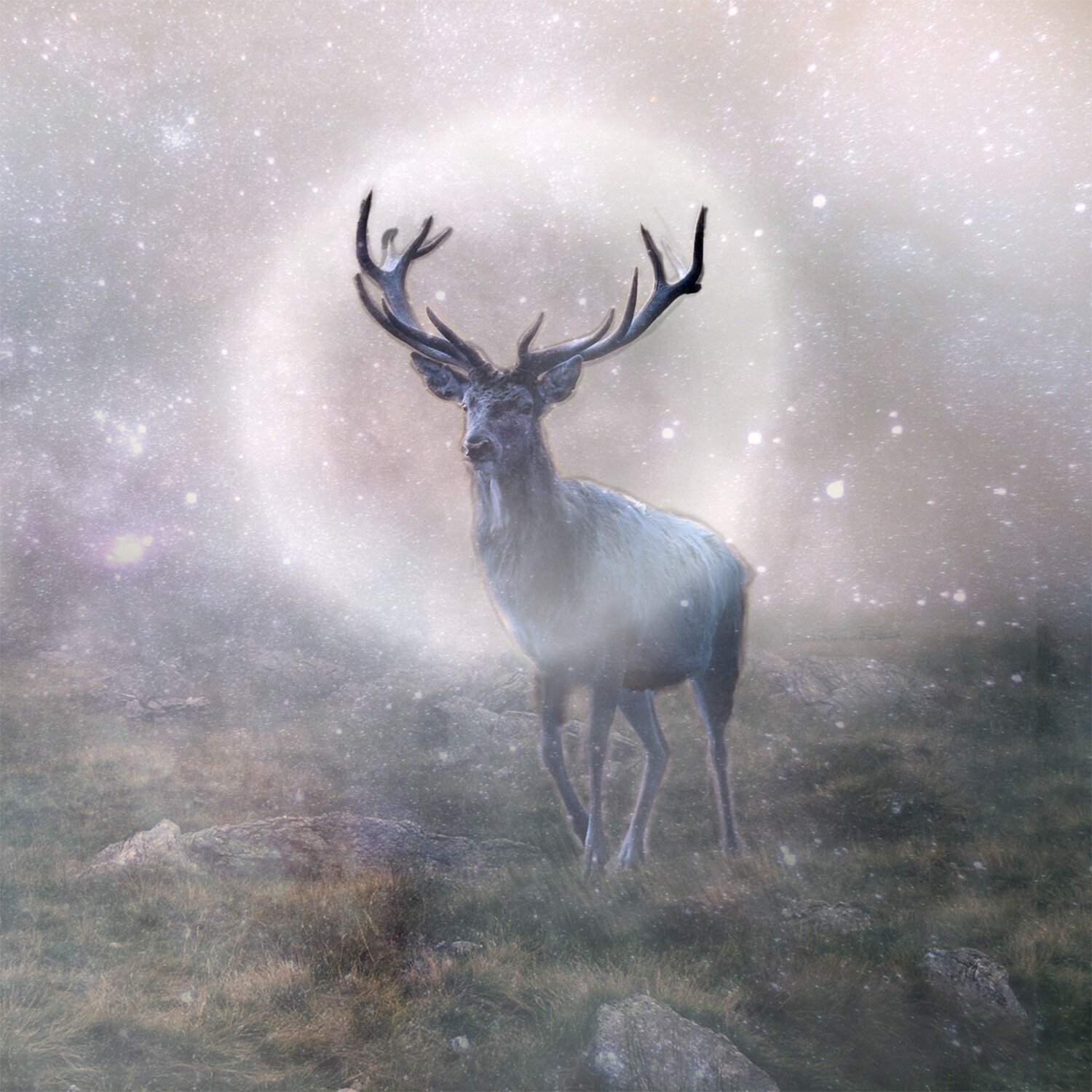 ArtStation - Magic Deer