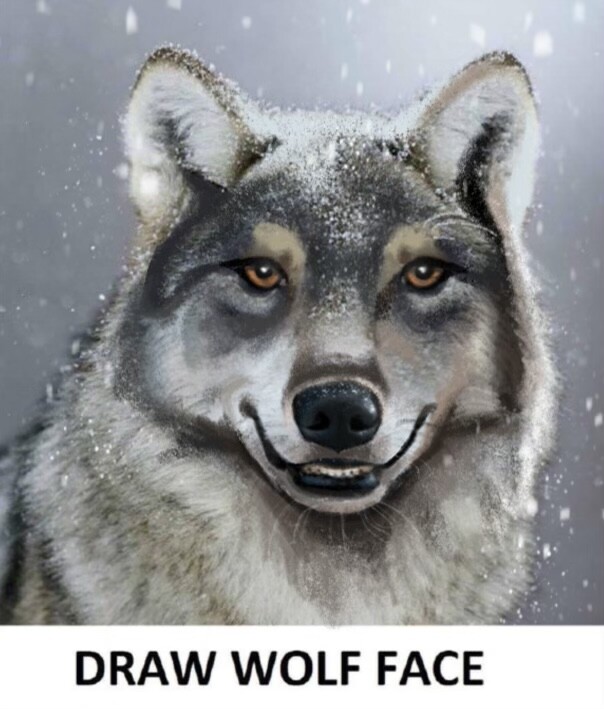 ArtStation - DRAW WOLF FACE