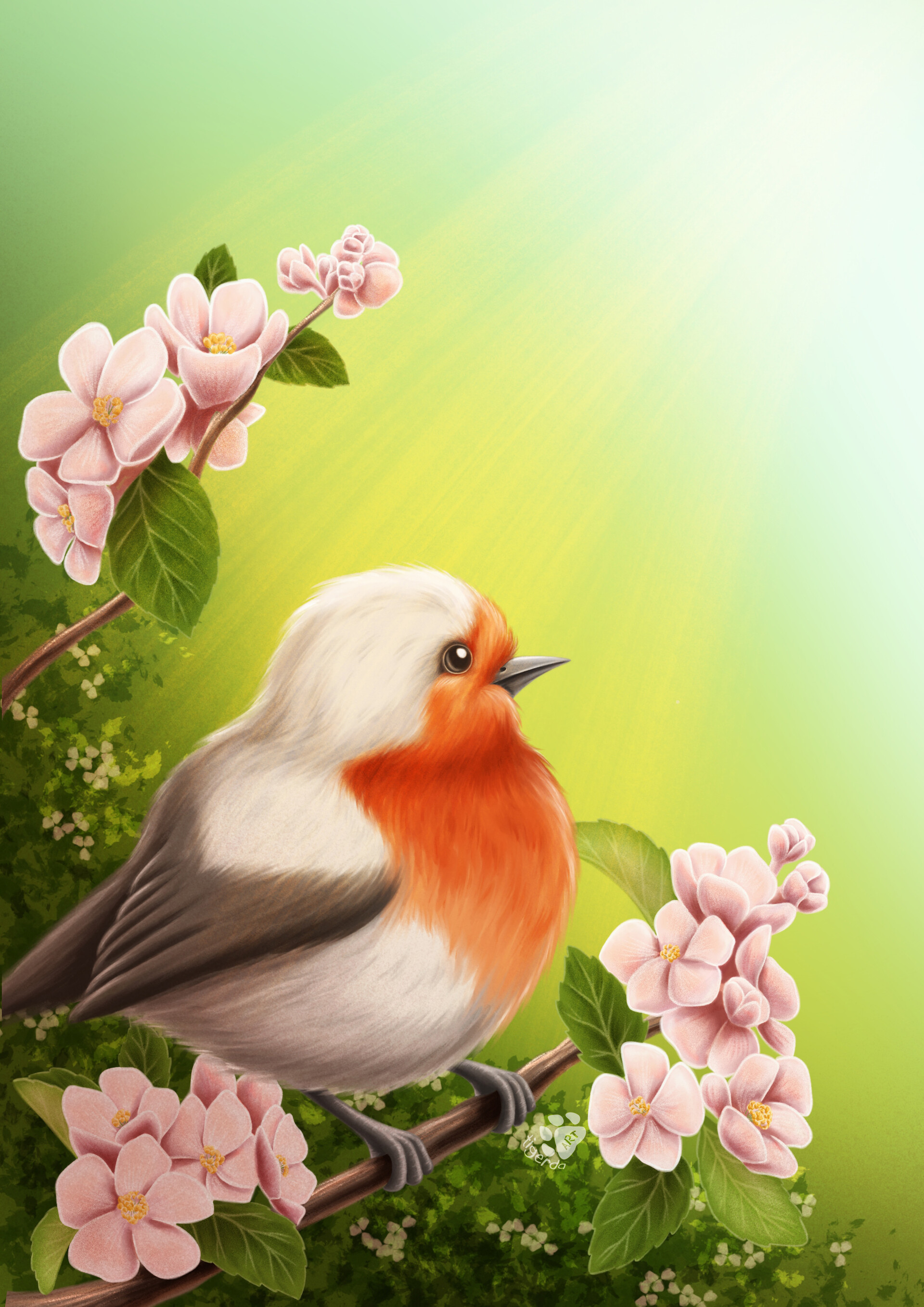 ArtStation - The robin bird