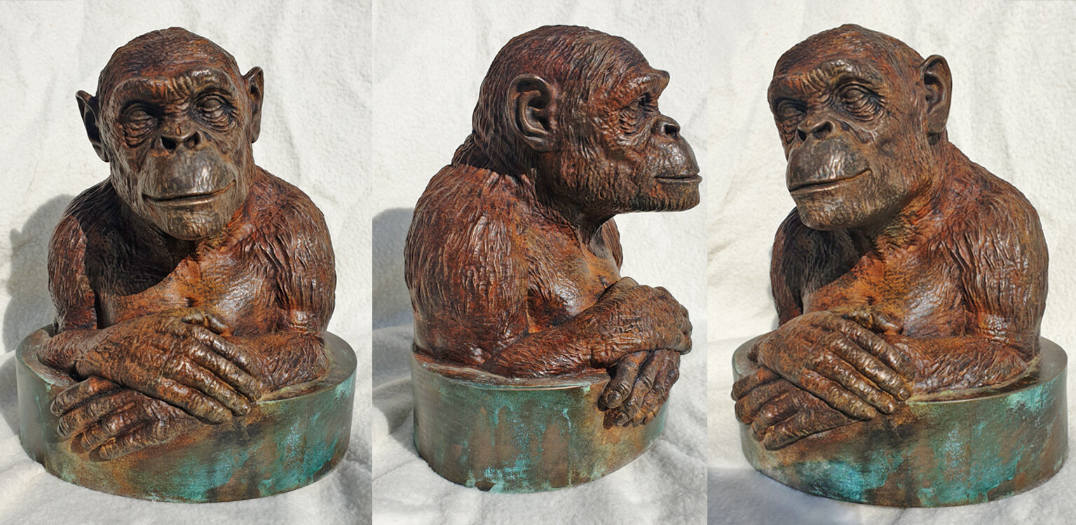 ArtStation - Chimpanzee Study