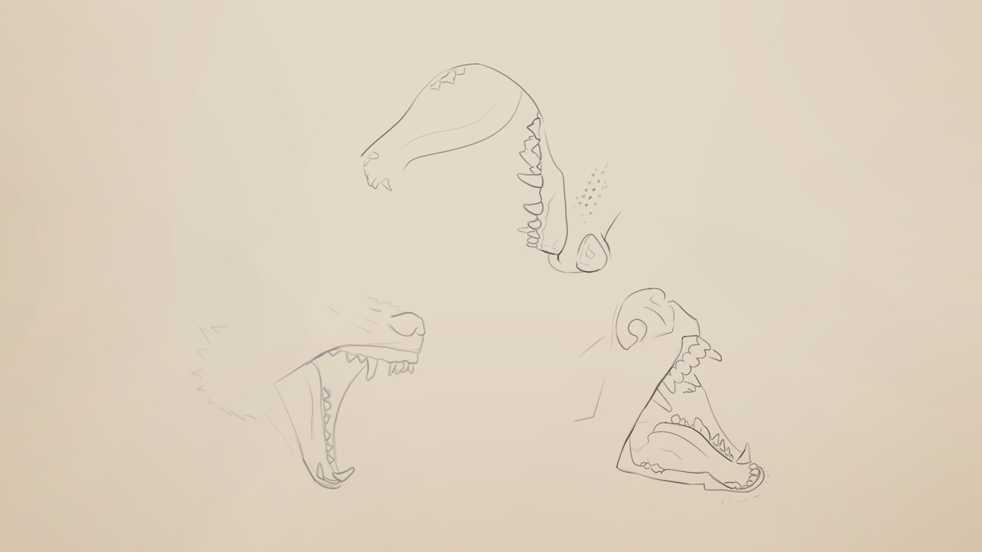 ArtStation - Dog Teeth Study