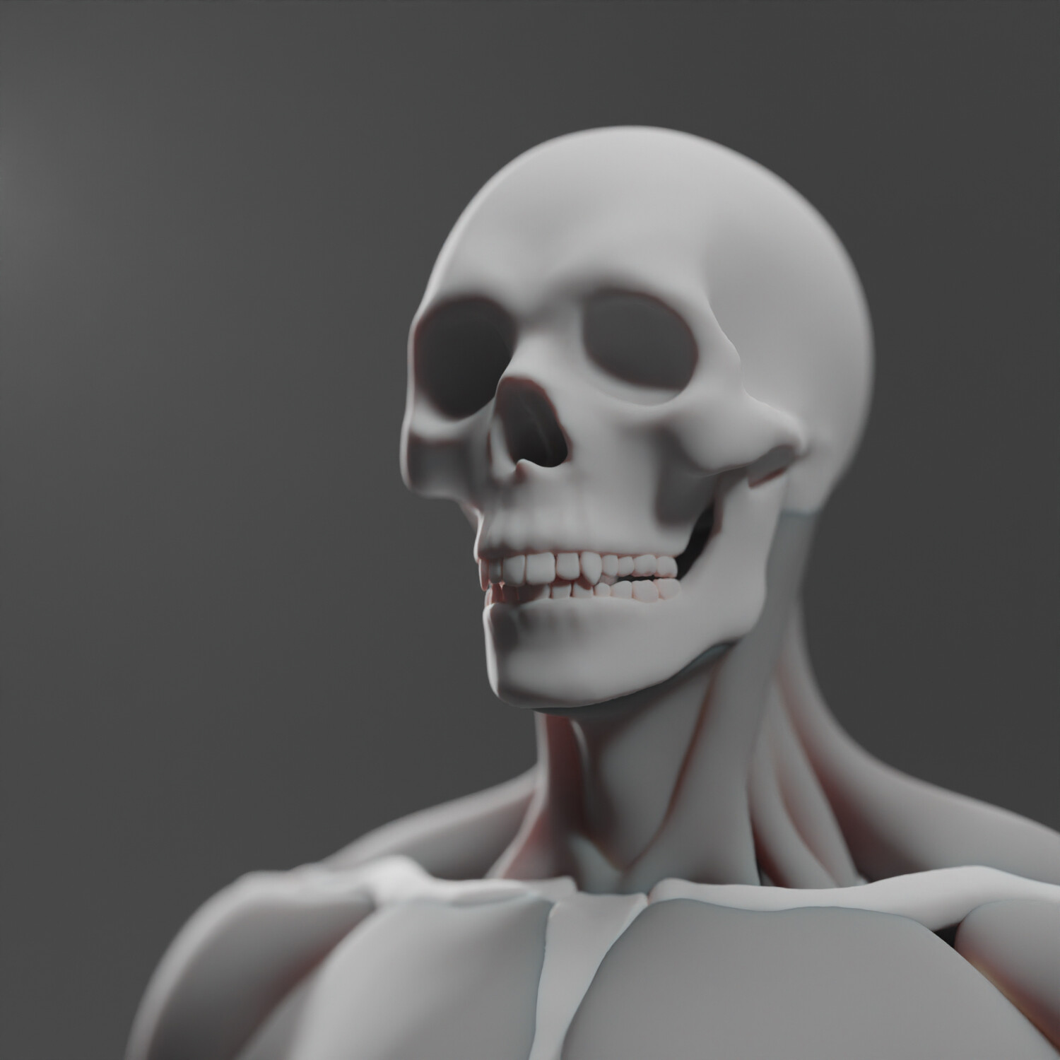 ArtStation - Simplified ecorche