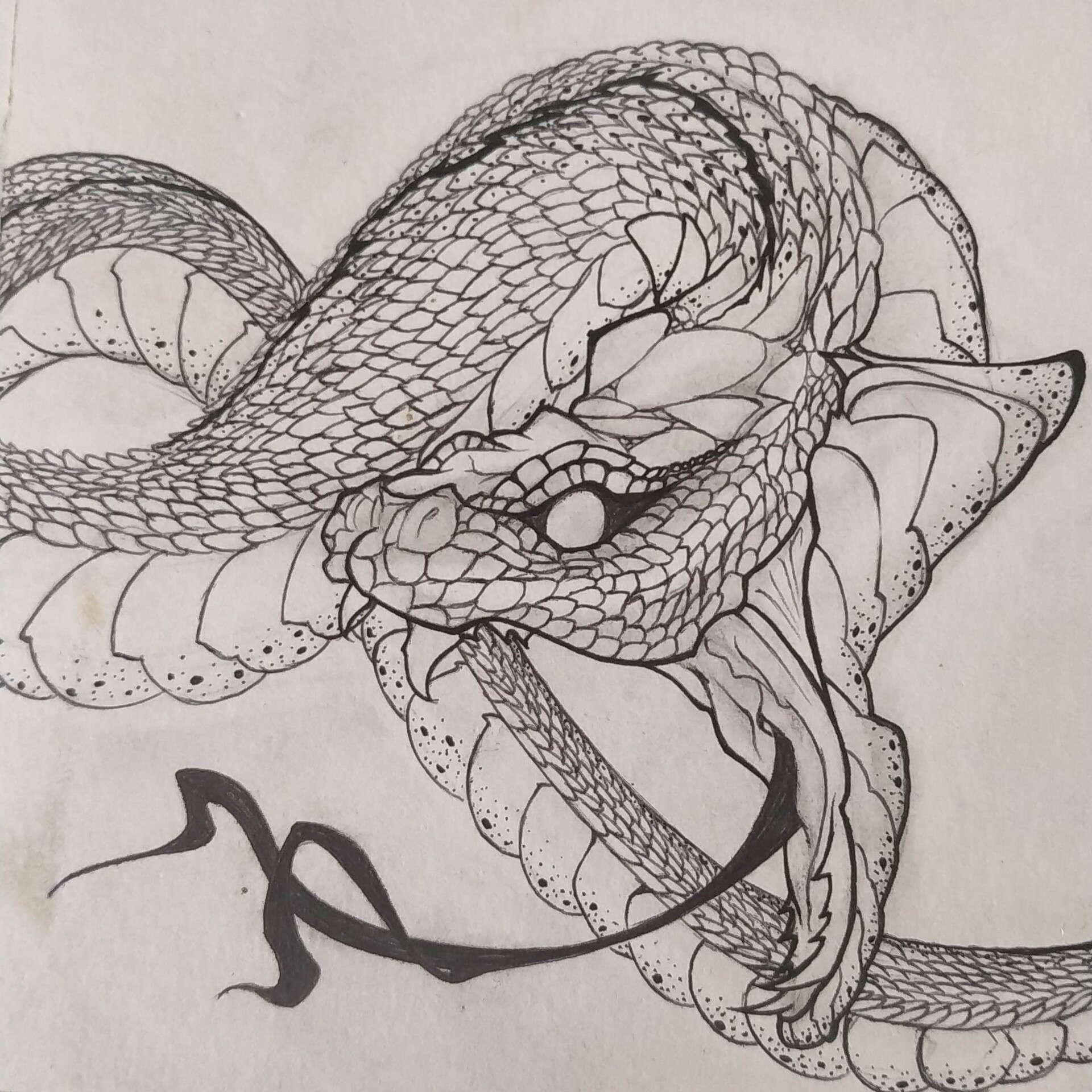 how to draw tattoo snake head
