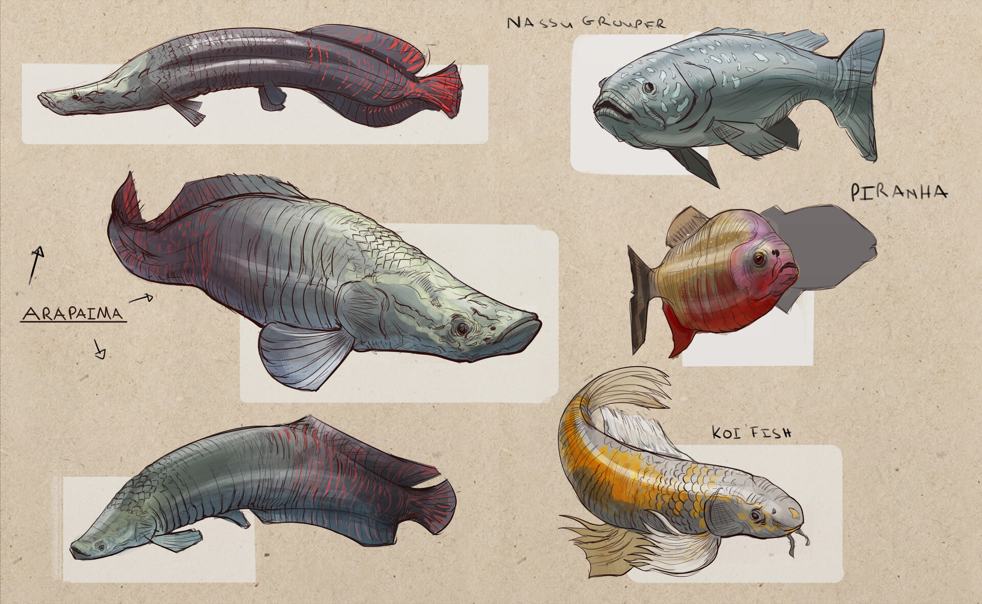 ArtStation - Fish Dynamic Sketching