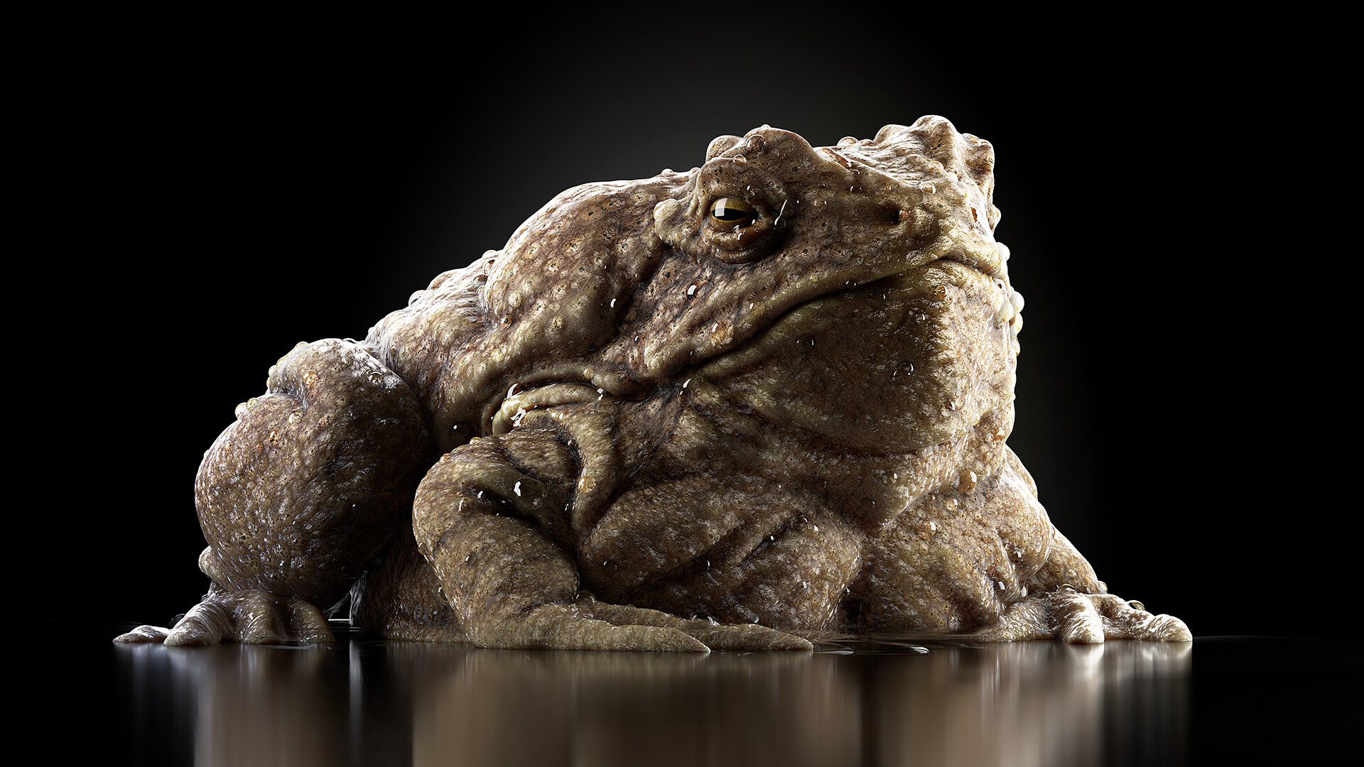 ArtStation - Toad Texturing