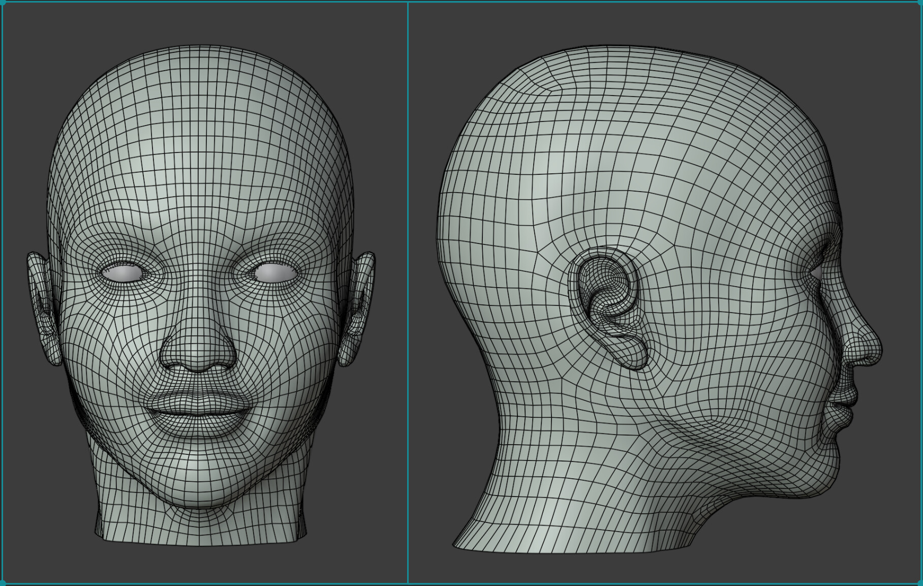 Munir Ali - 3D Portrait