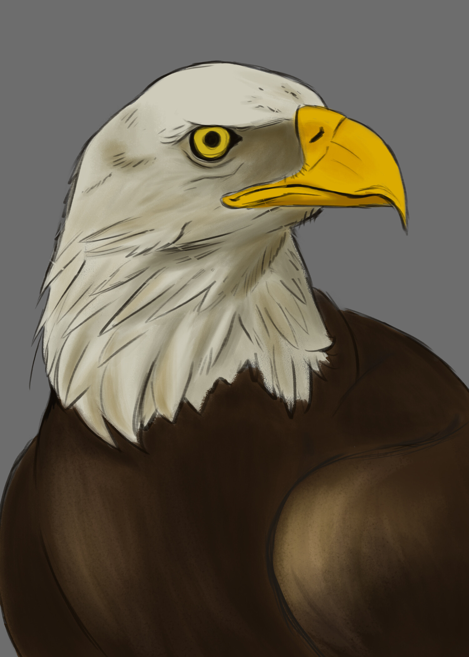 eagle head drawing side view