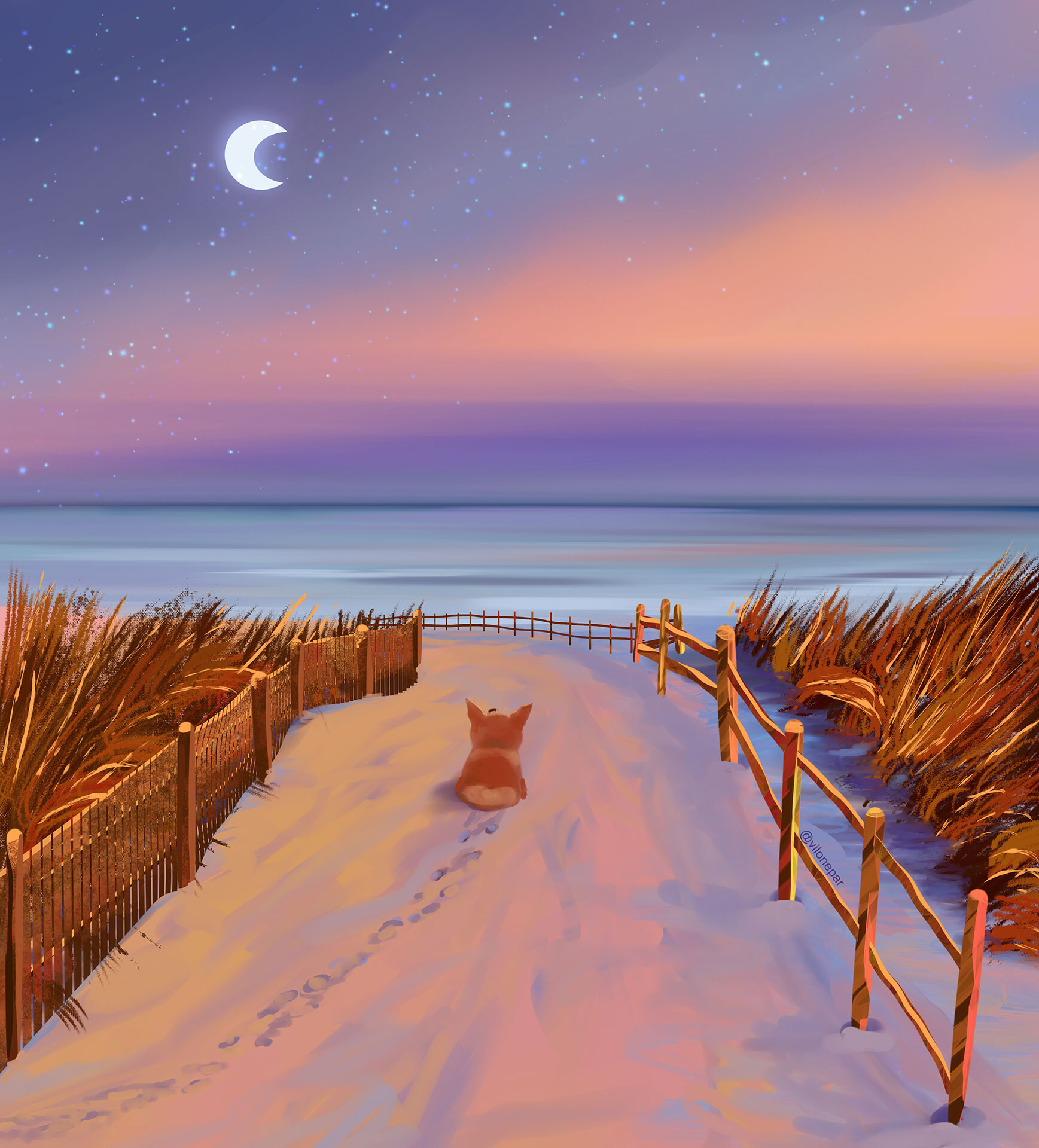 ArtStation - Corgi and stars