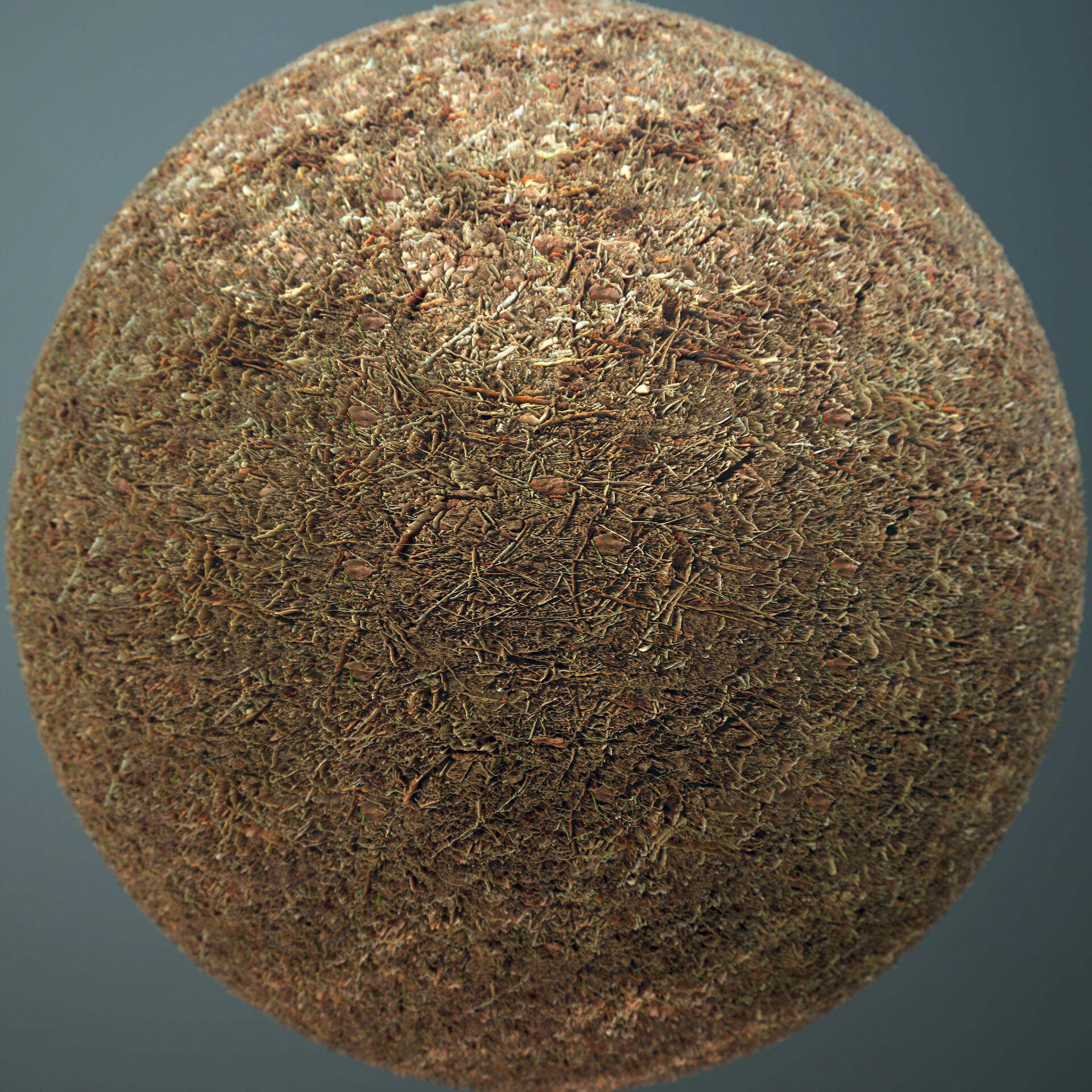 Matthew Syrett - Photogrammetry Study