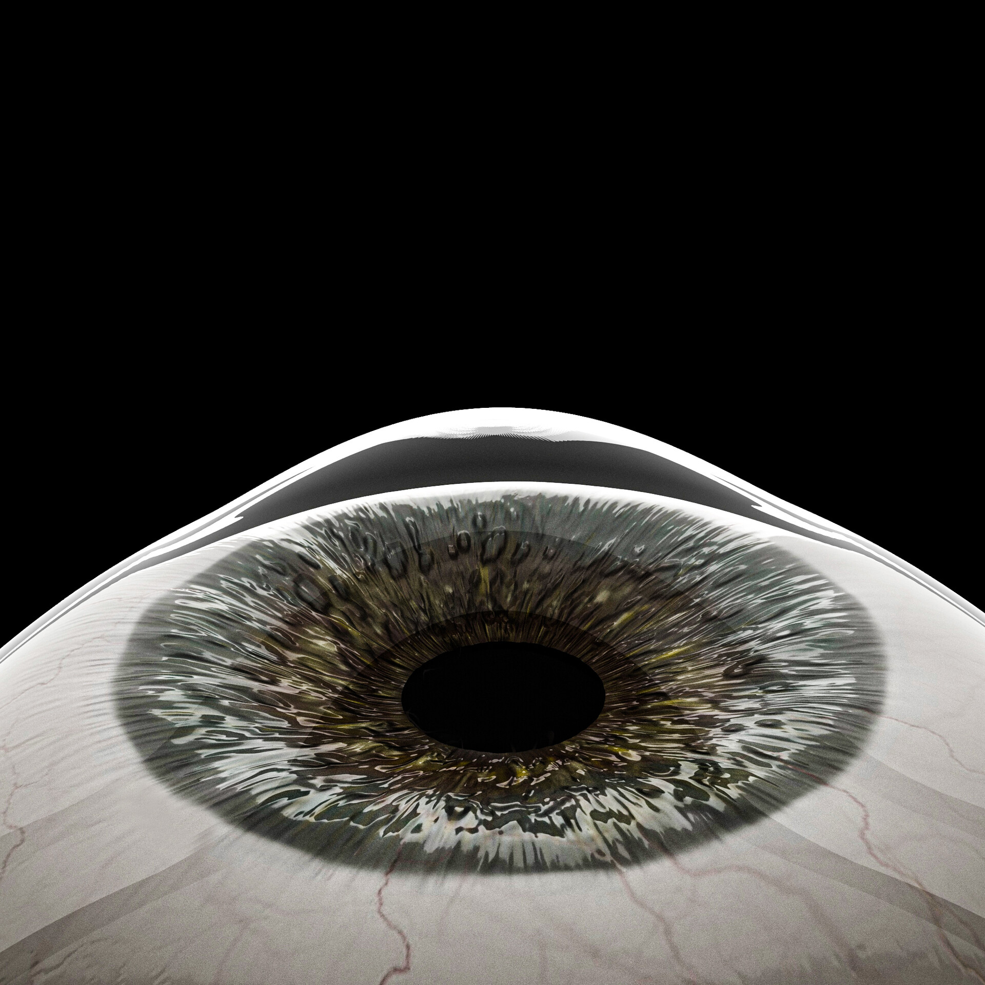 ArtStation - Realistic Human Eyeball