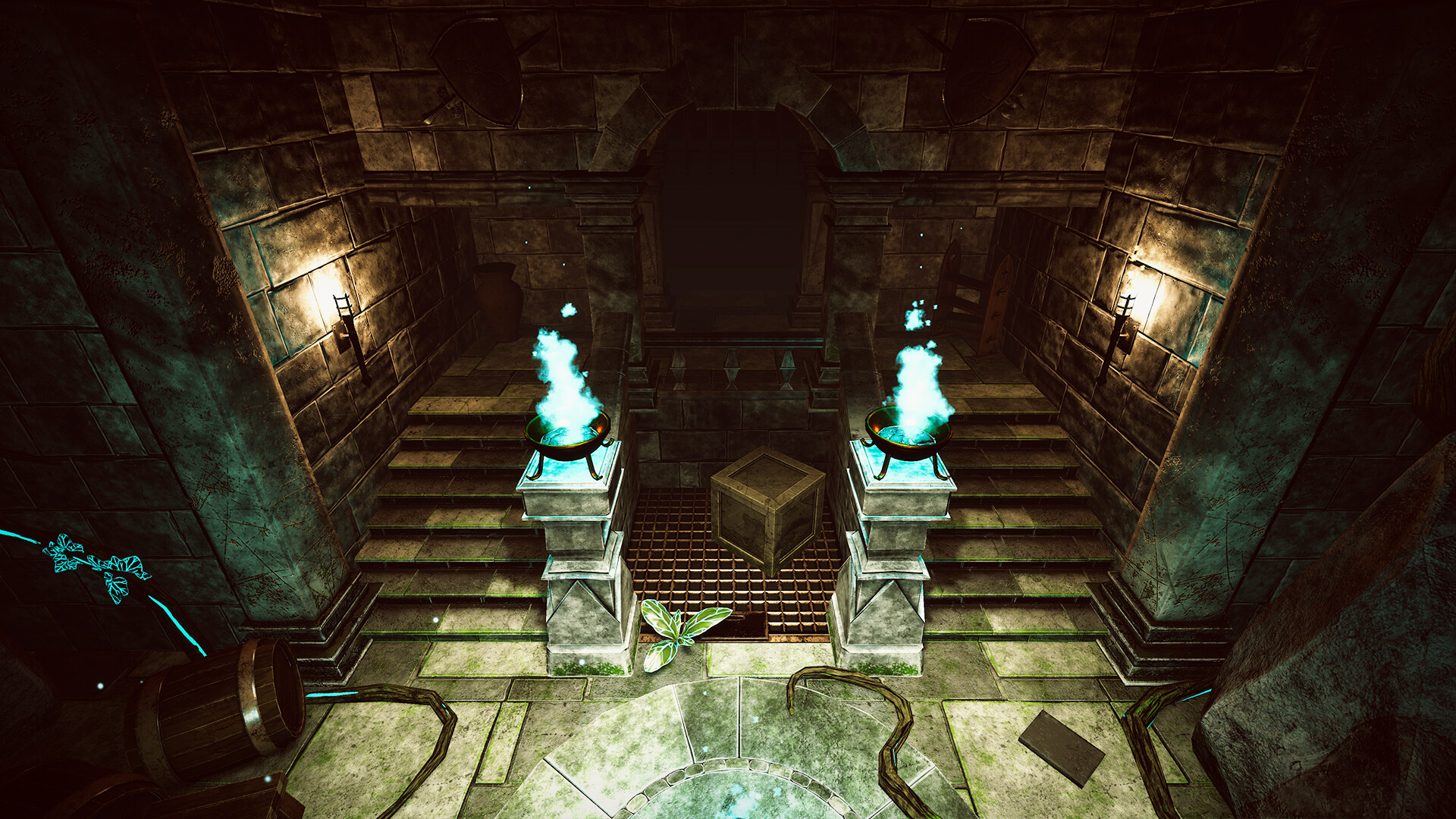 Laura Houdié - The Blue Dungeon