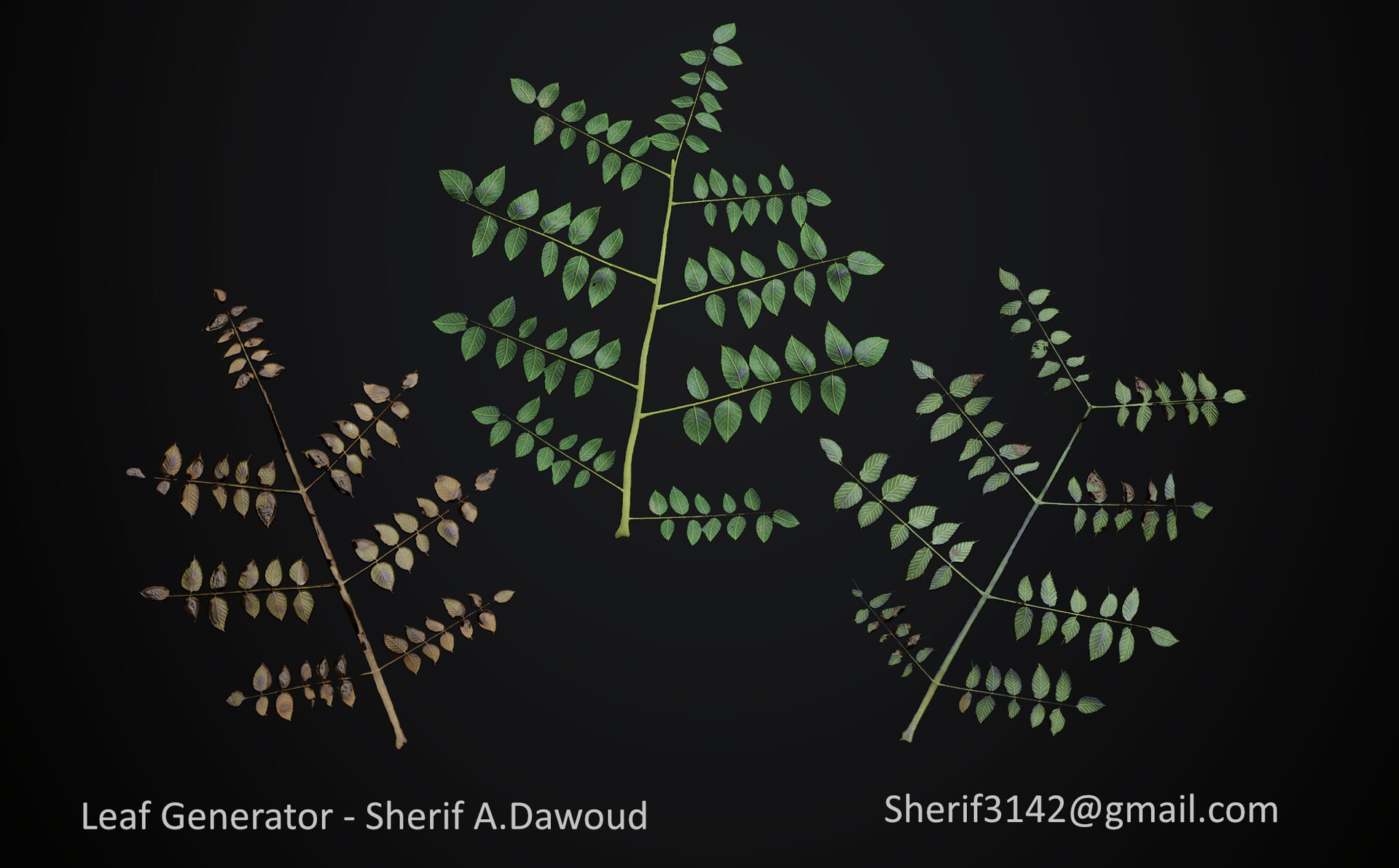 Sherif Dawoud | 3D Game Artist - Leaf/Foliage Generator - Substance Designer