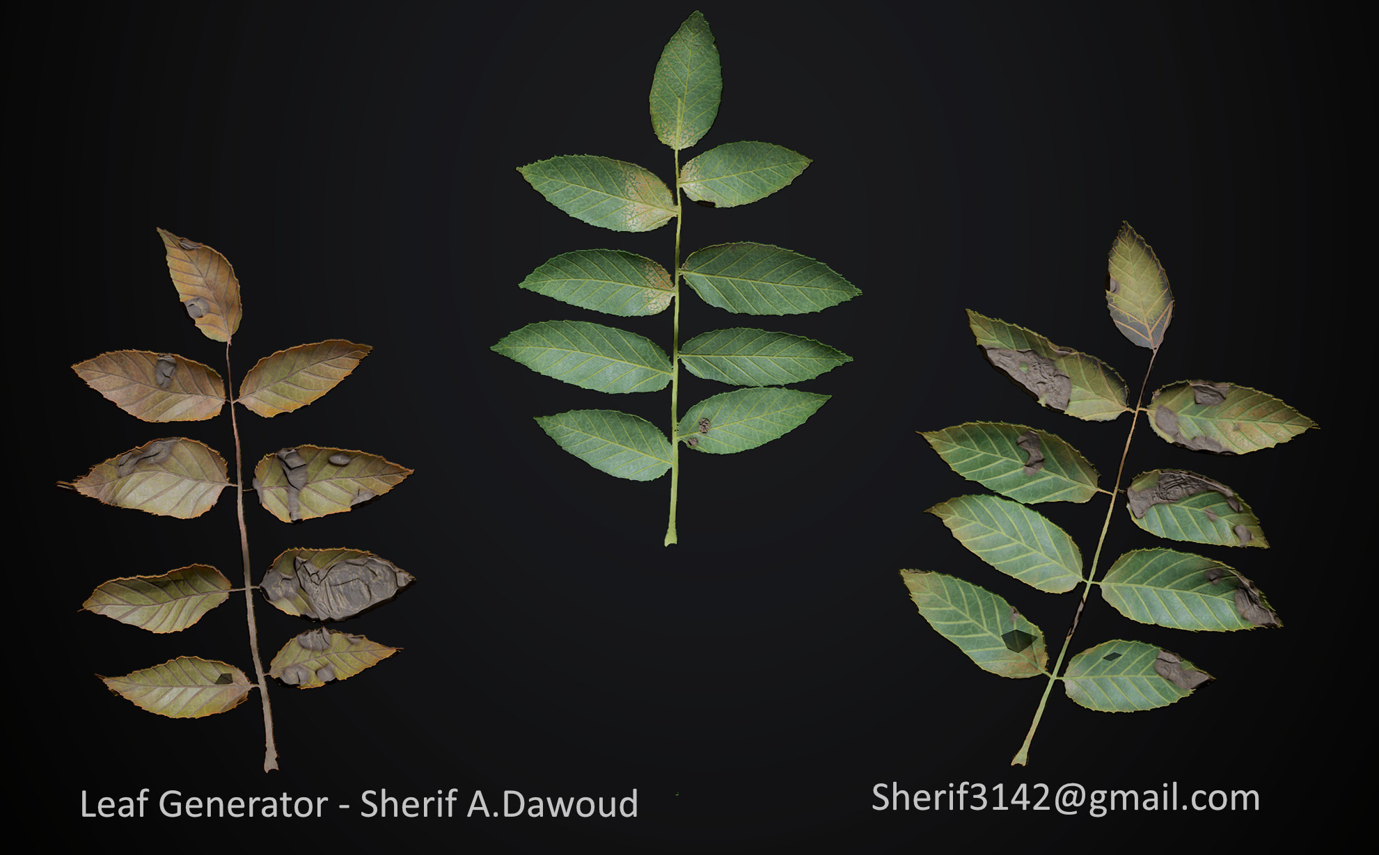 Sherif Dawoud | 3D Game Artist - Leaf/Foliage Generator - Substance Designer