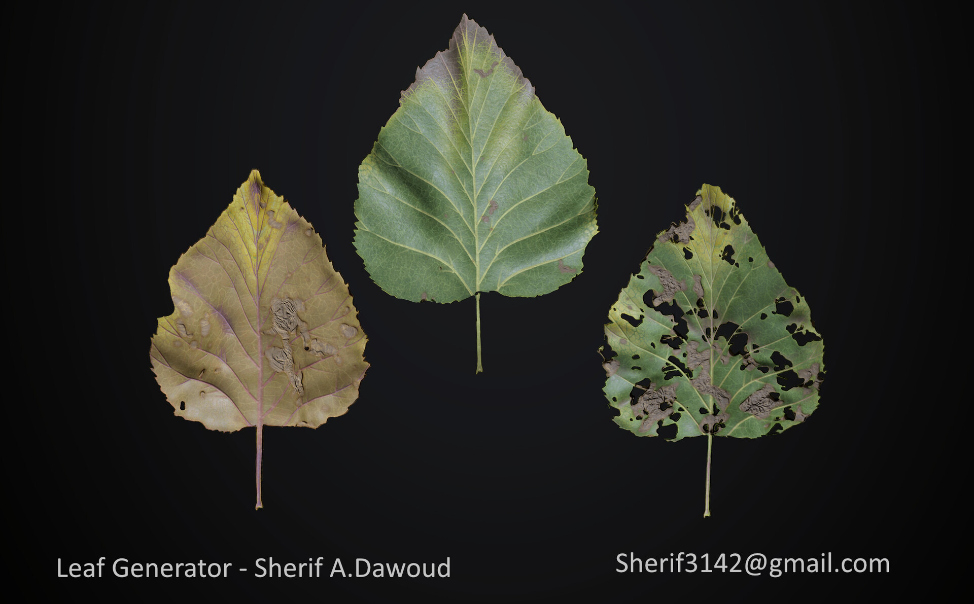 Sherif Dawoud | 3D Game Artist - Leaf/Foliage Generator - Substance Designer