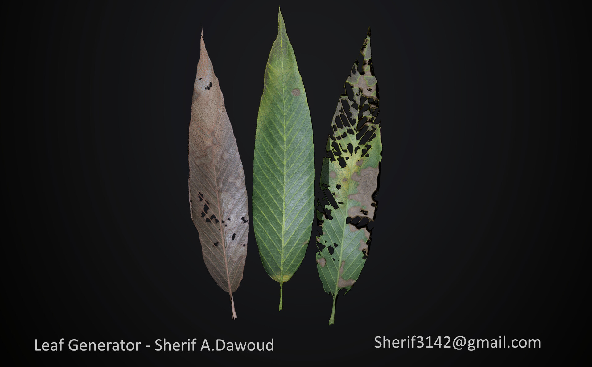 Sherif Dawoud | 3D Game Artist - Leaf/Foliage Generator - Substance Designer